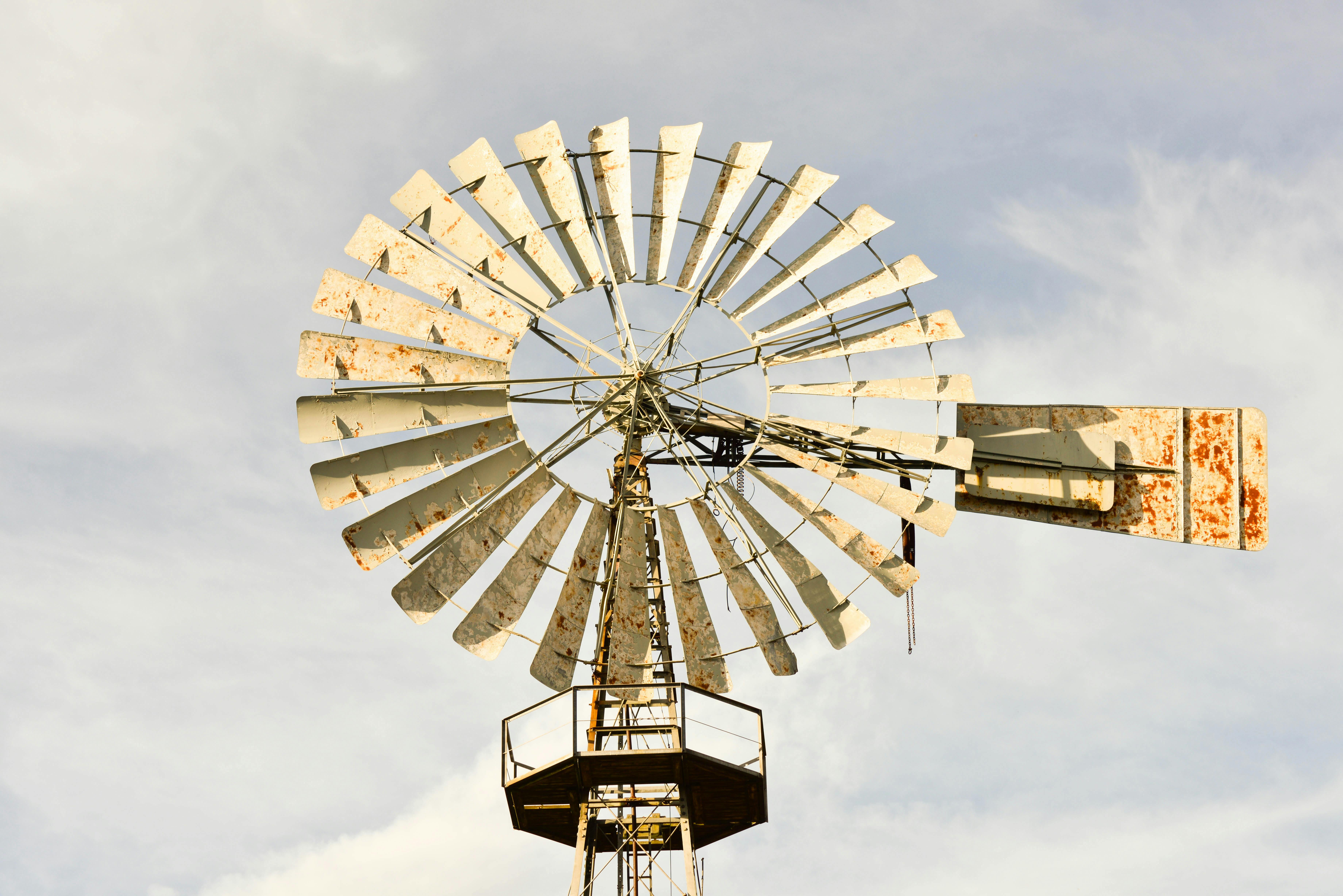 Top Img Photos, Download The BEST Free Top Img Stock Photos & HD Images