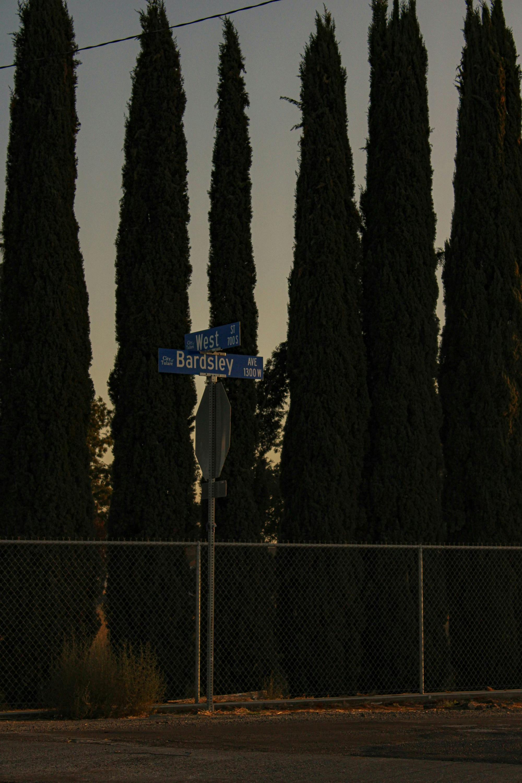 Dark Backstreet Photos, Download The BEST Free Dark Backstreet Stock ...