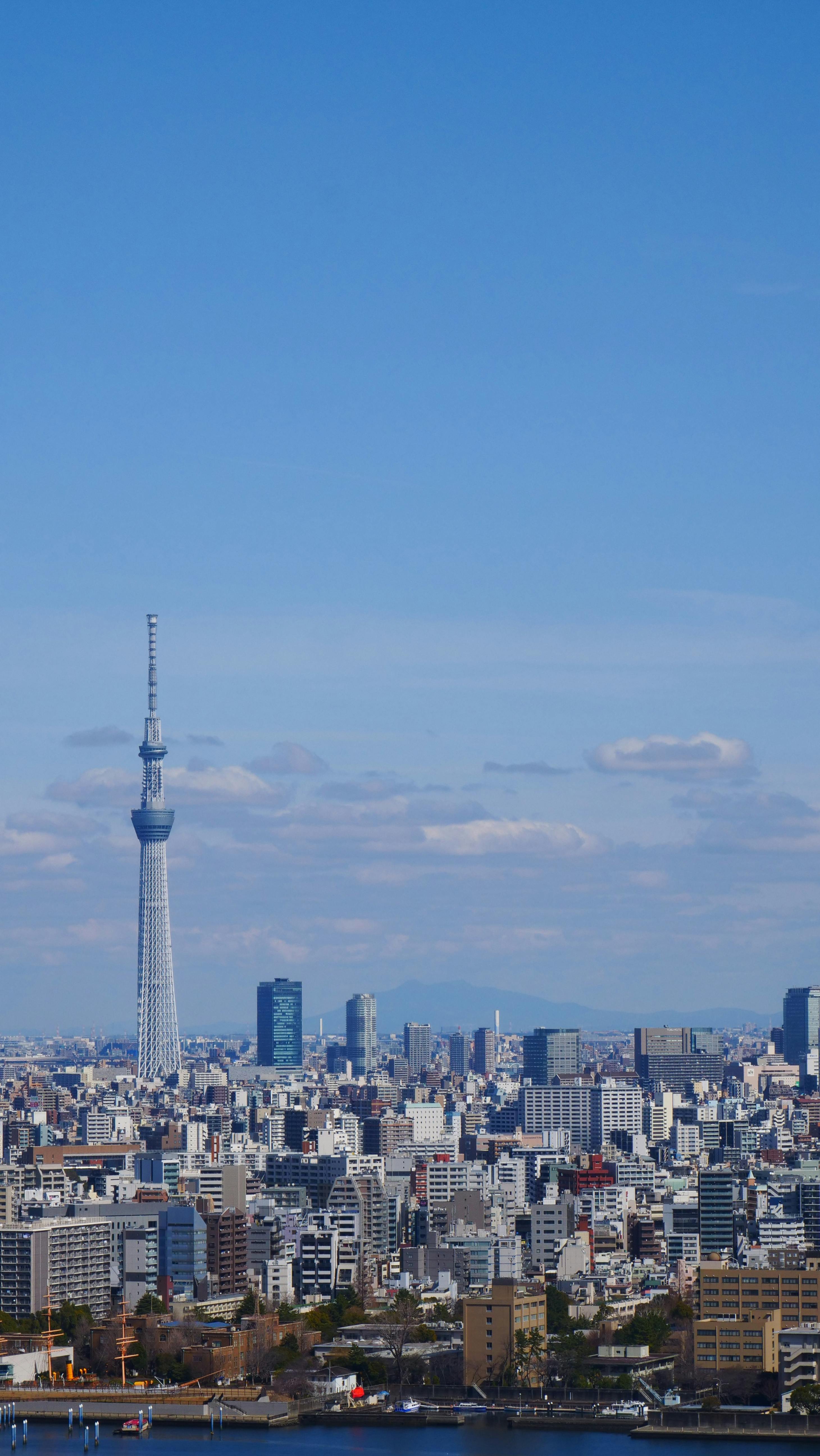 Tokyo at Night · Free Stock Photo