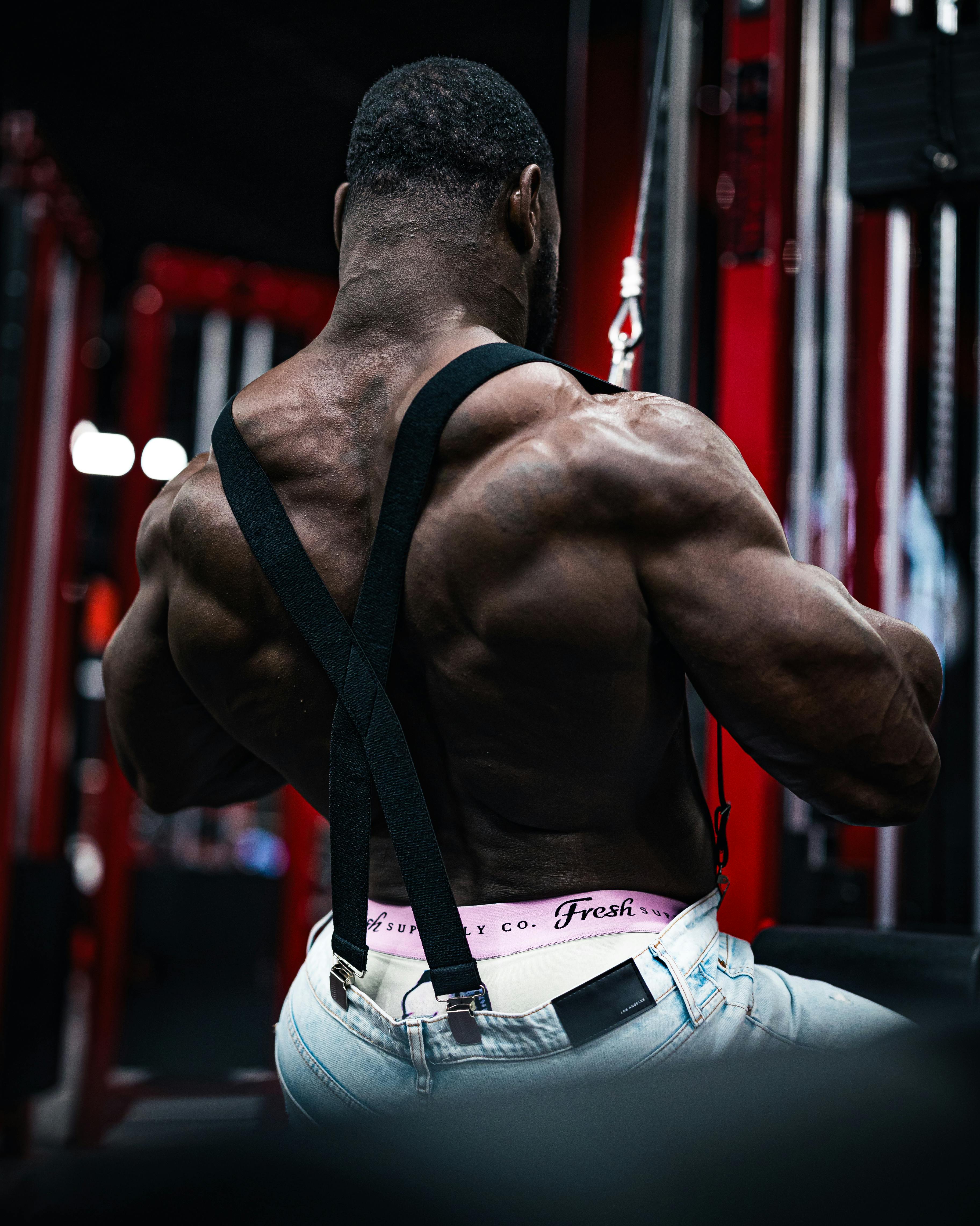 Back of Muscular Bodybuilder at Gym · Free Stock Photo