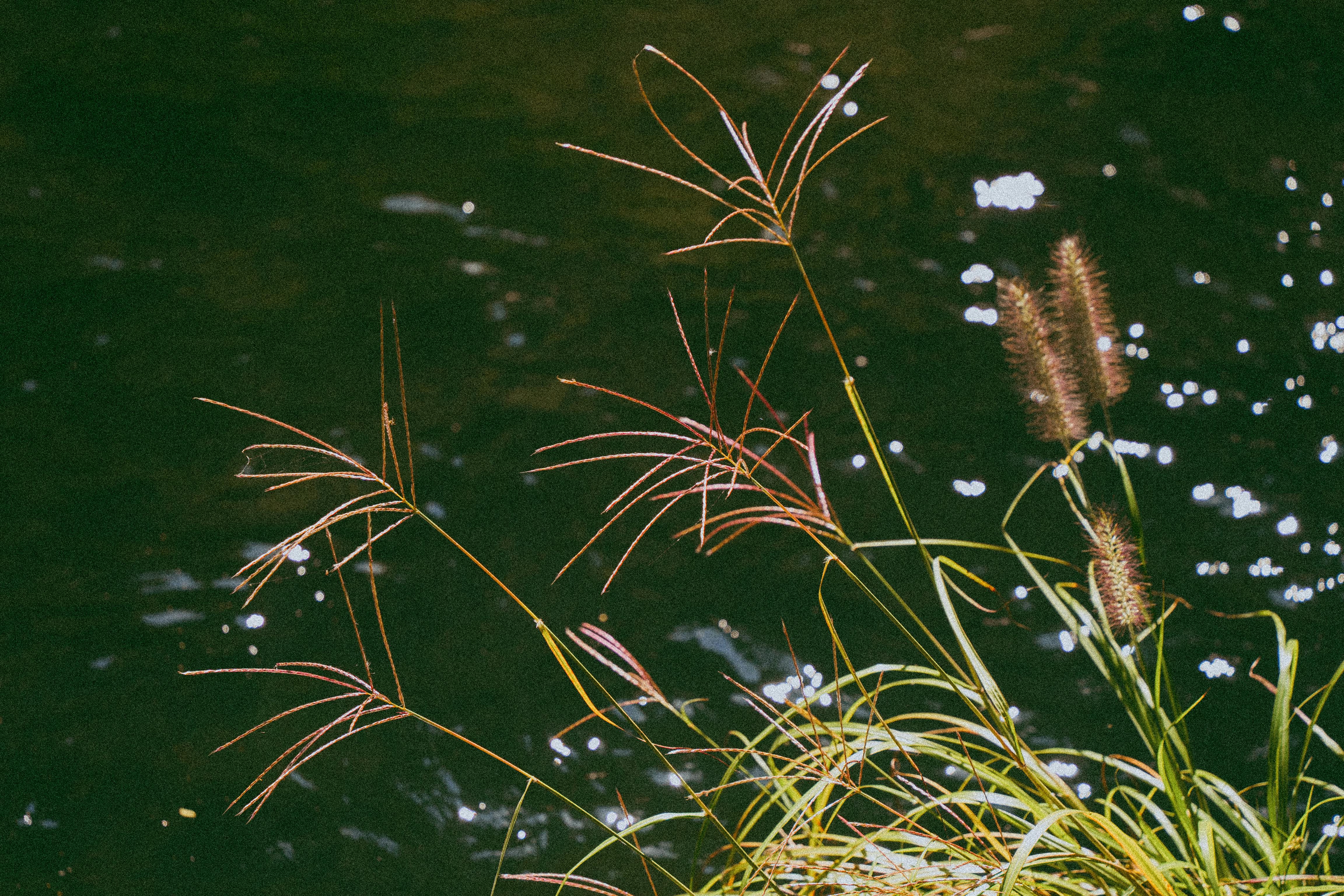 Rushing Water Photos, Download The BEST Free Rushing Water Stock Photos ...