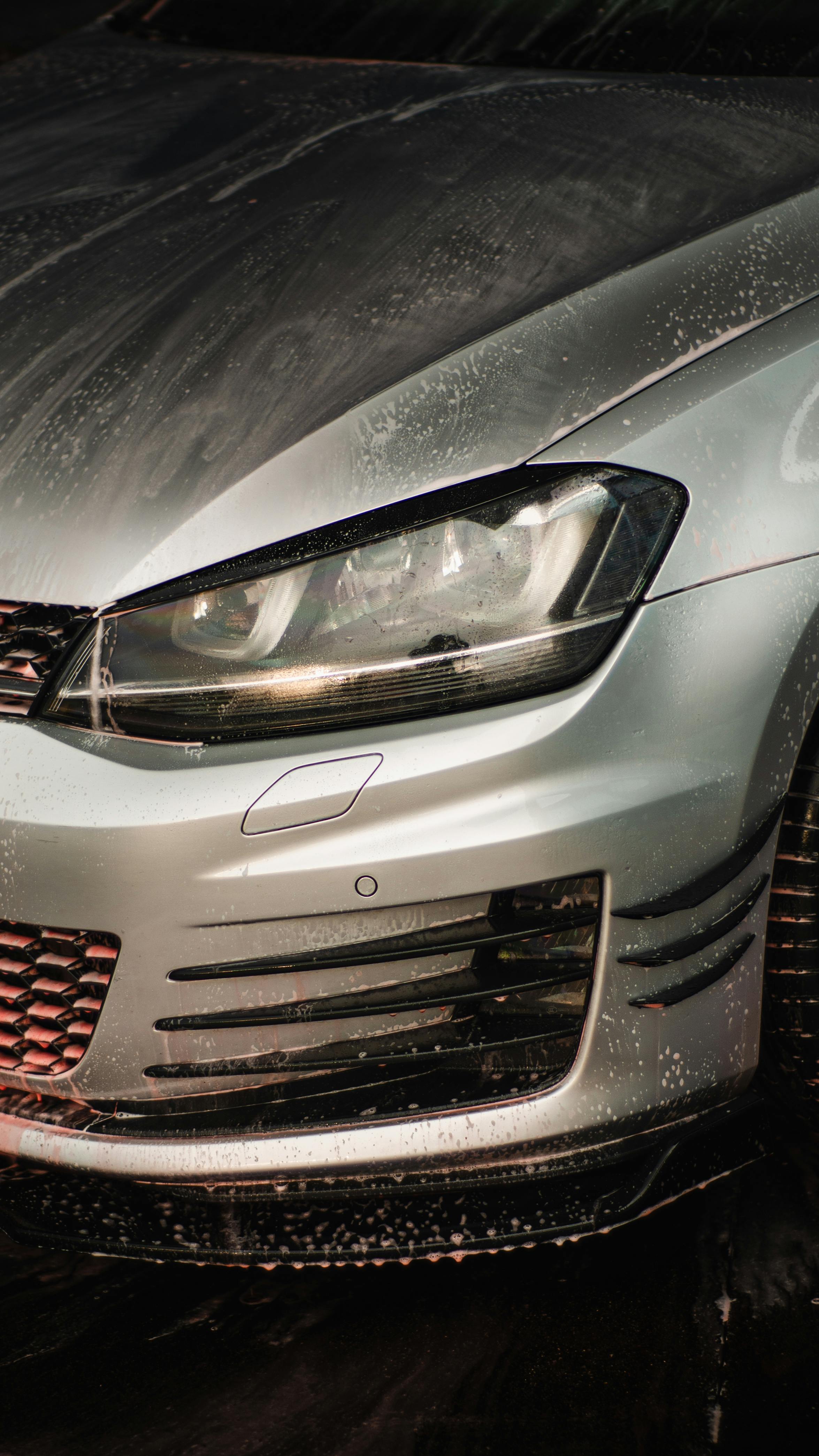 Silver Starlets Violette Photos, Download The BEST Free Silver Starlets ...