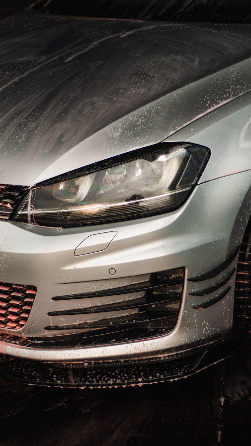 Silver Starlets Violette Photos, Download The BEST Free Silver Starlets ...