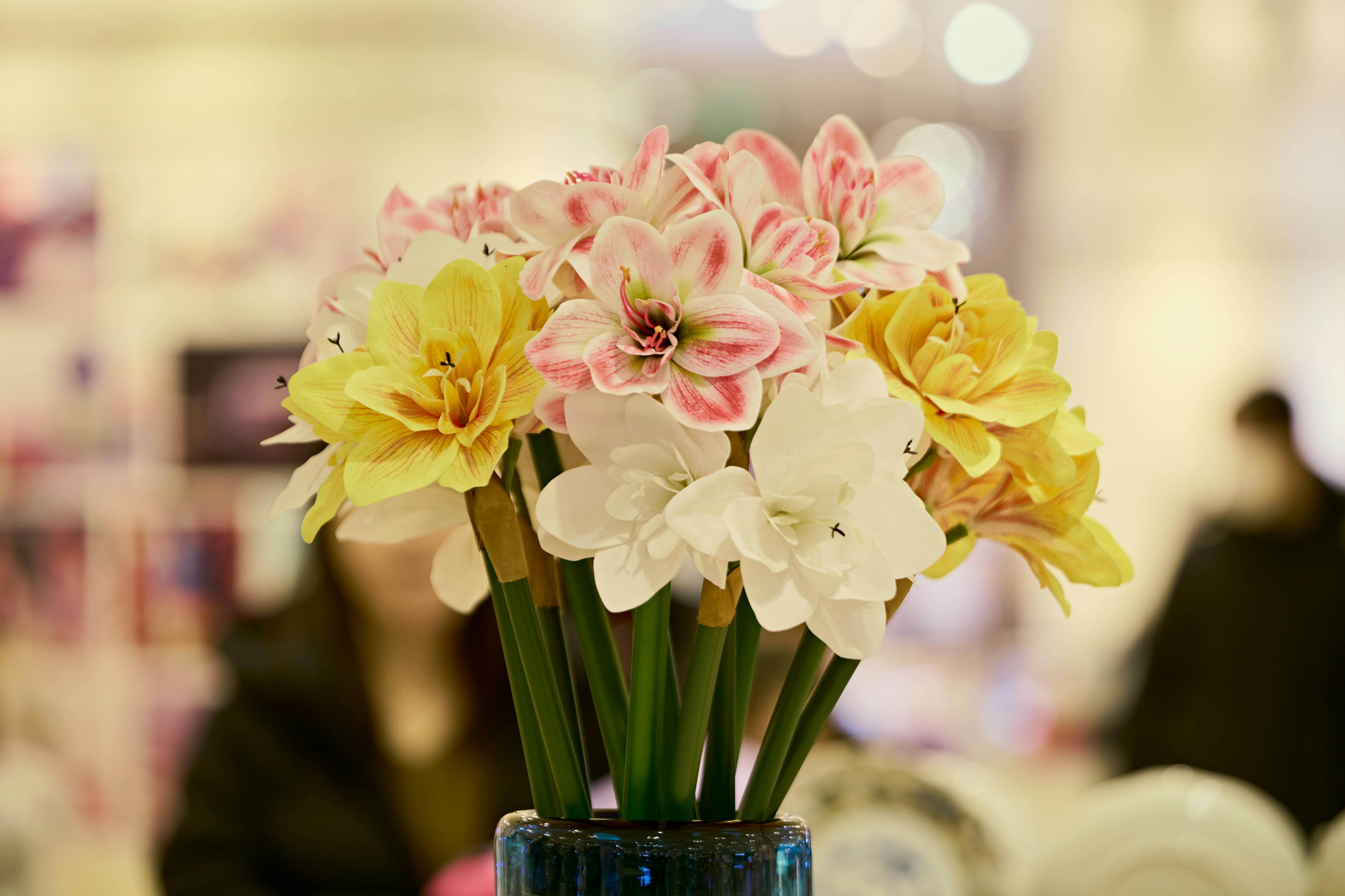 Suki Lee - Photography