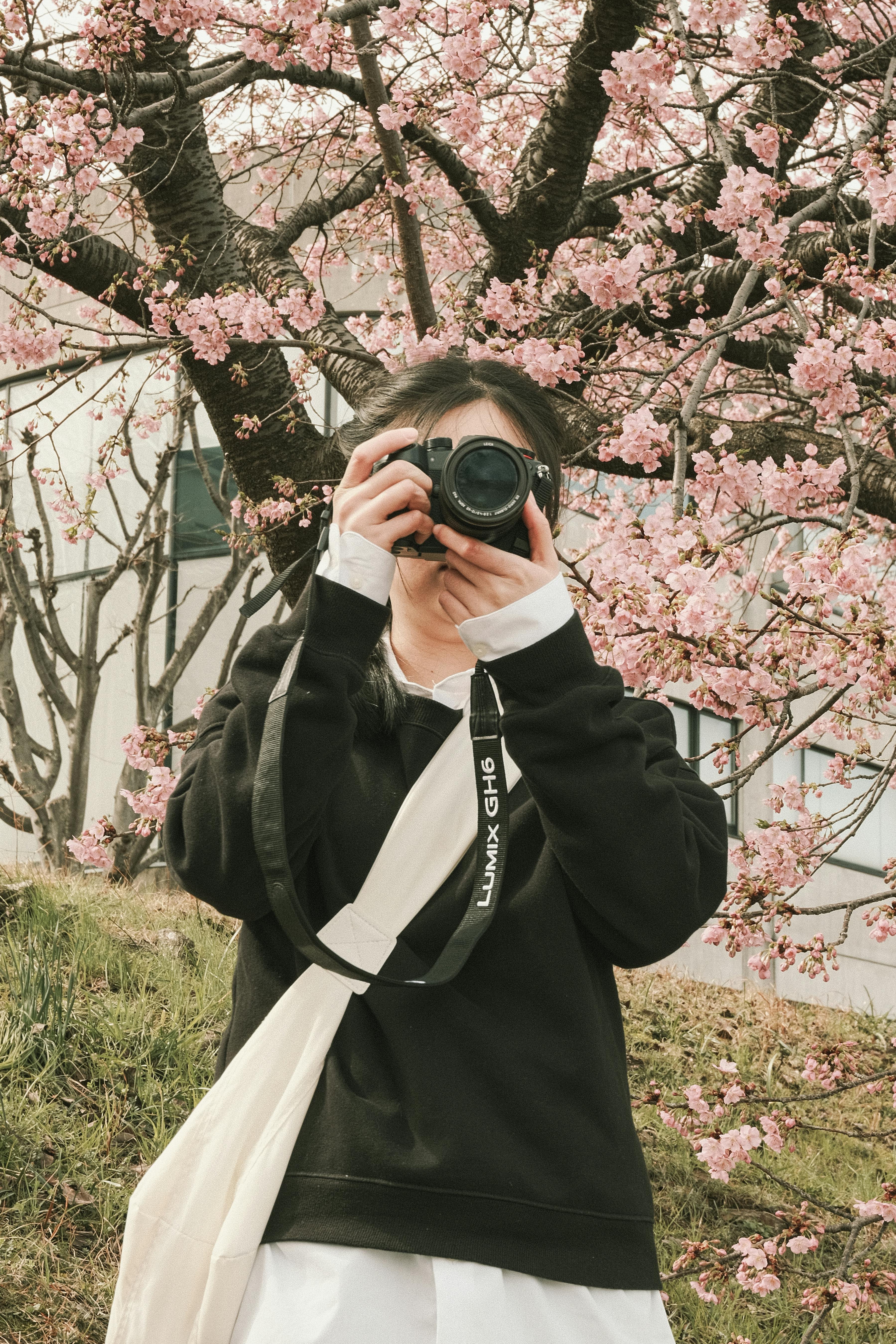 Camer Pompalari Photos, Download The BEST Free Camer Pompalari Stock ...