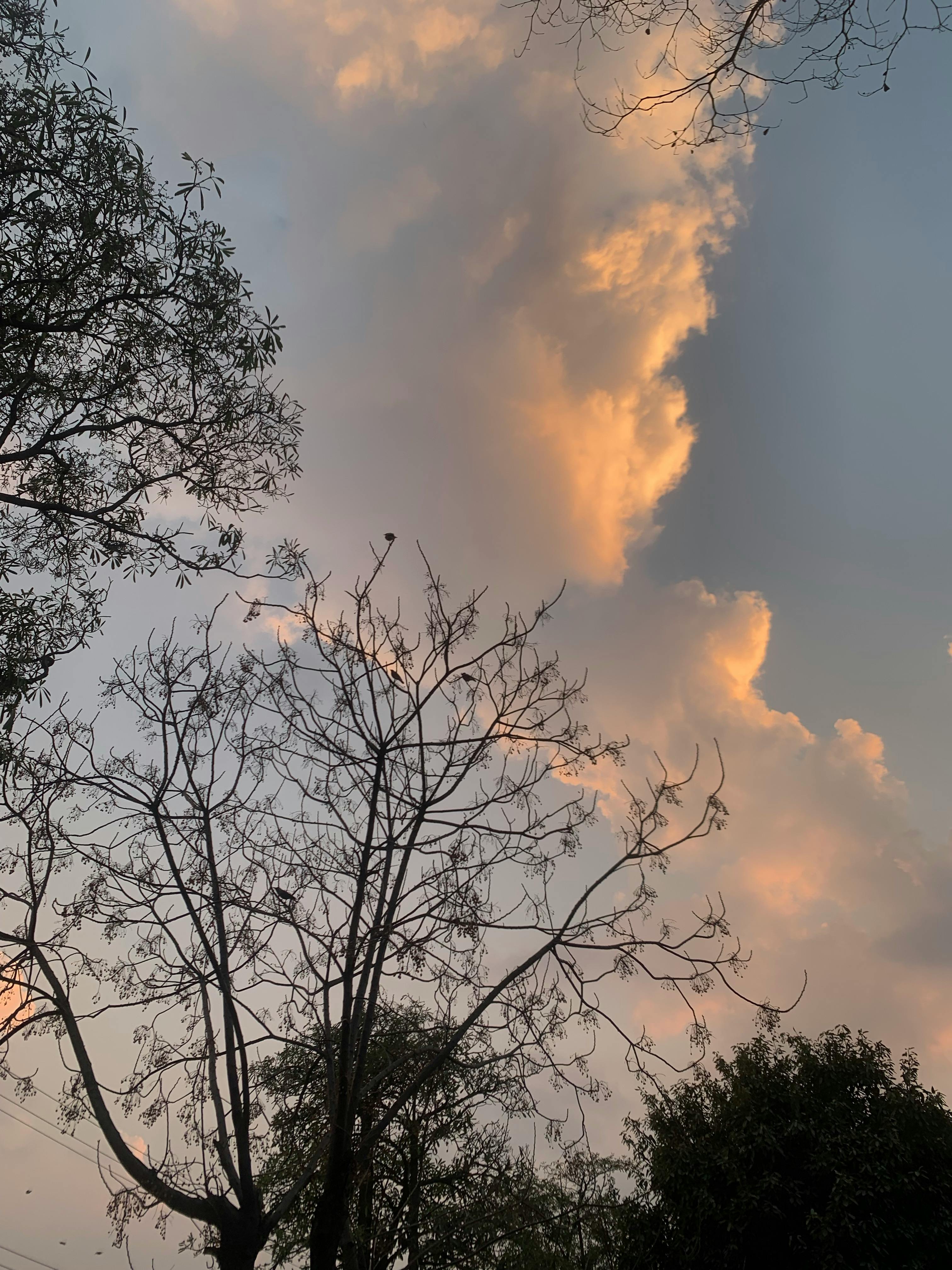 Zainab Nasir - Photography