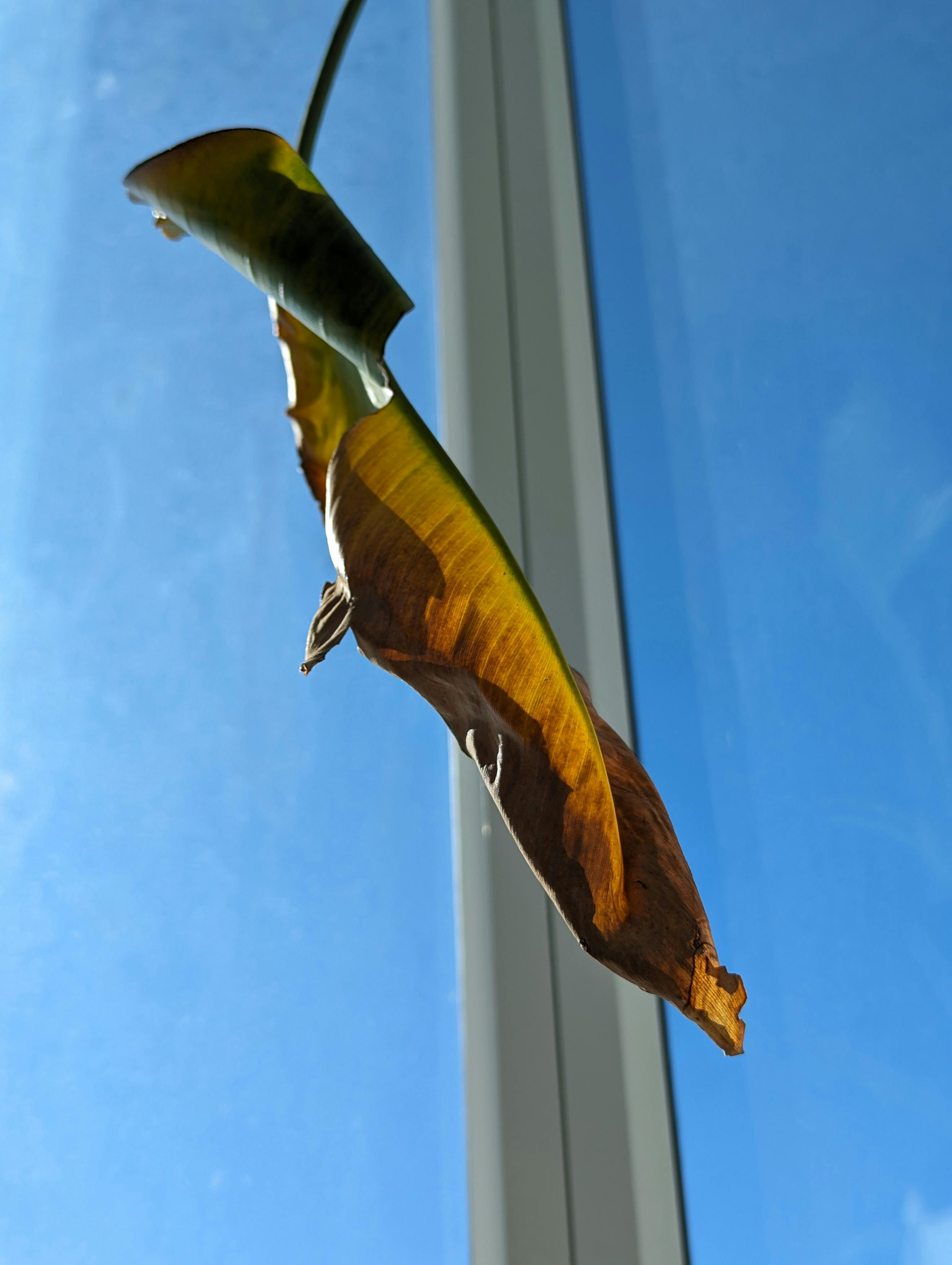 teyi 徐 - Photography