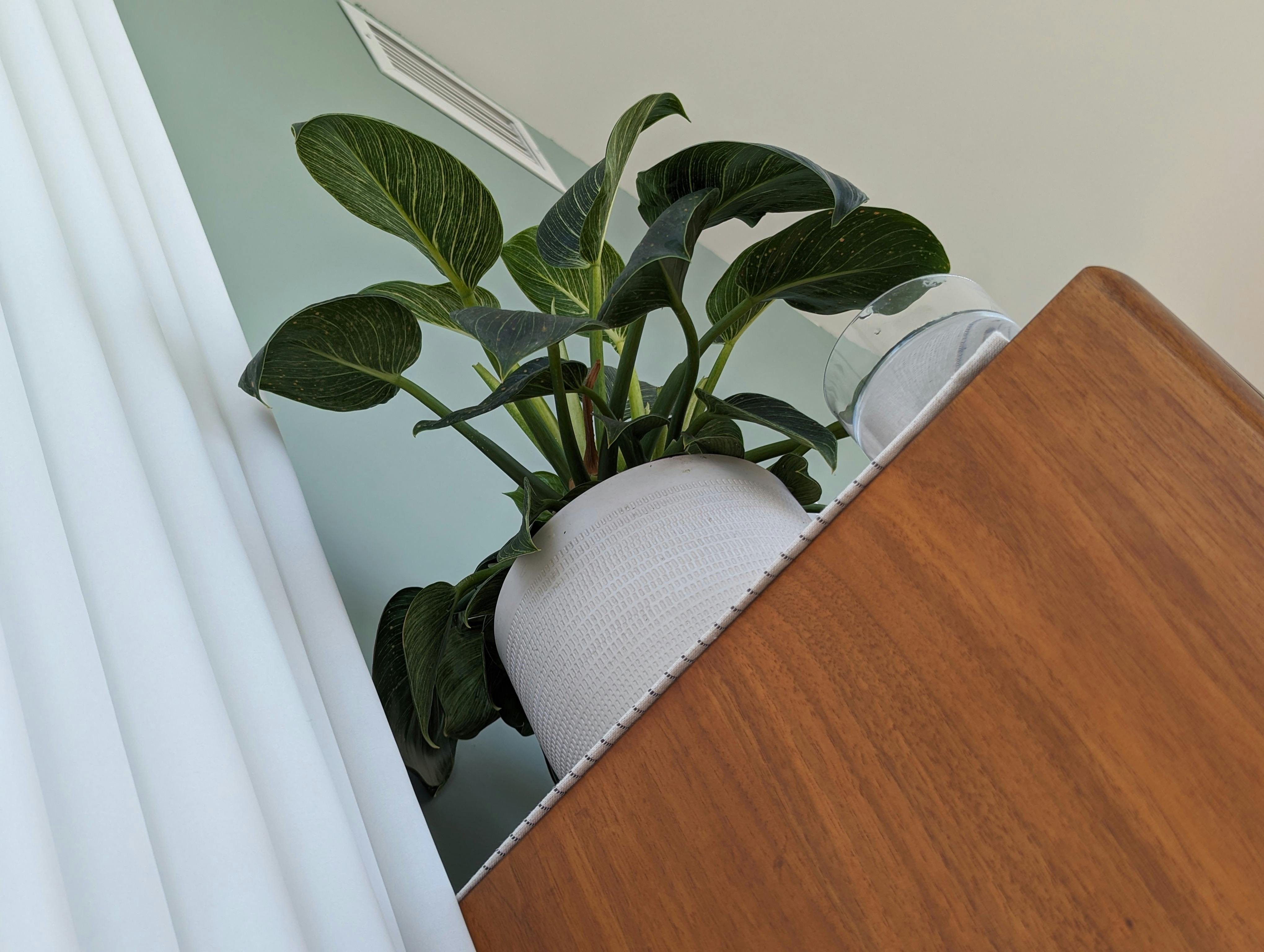 teyi 徐 - Photography