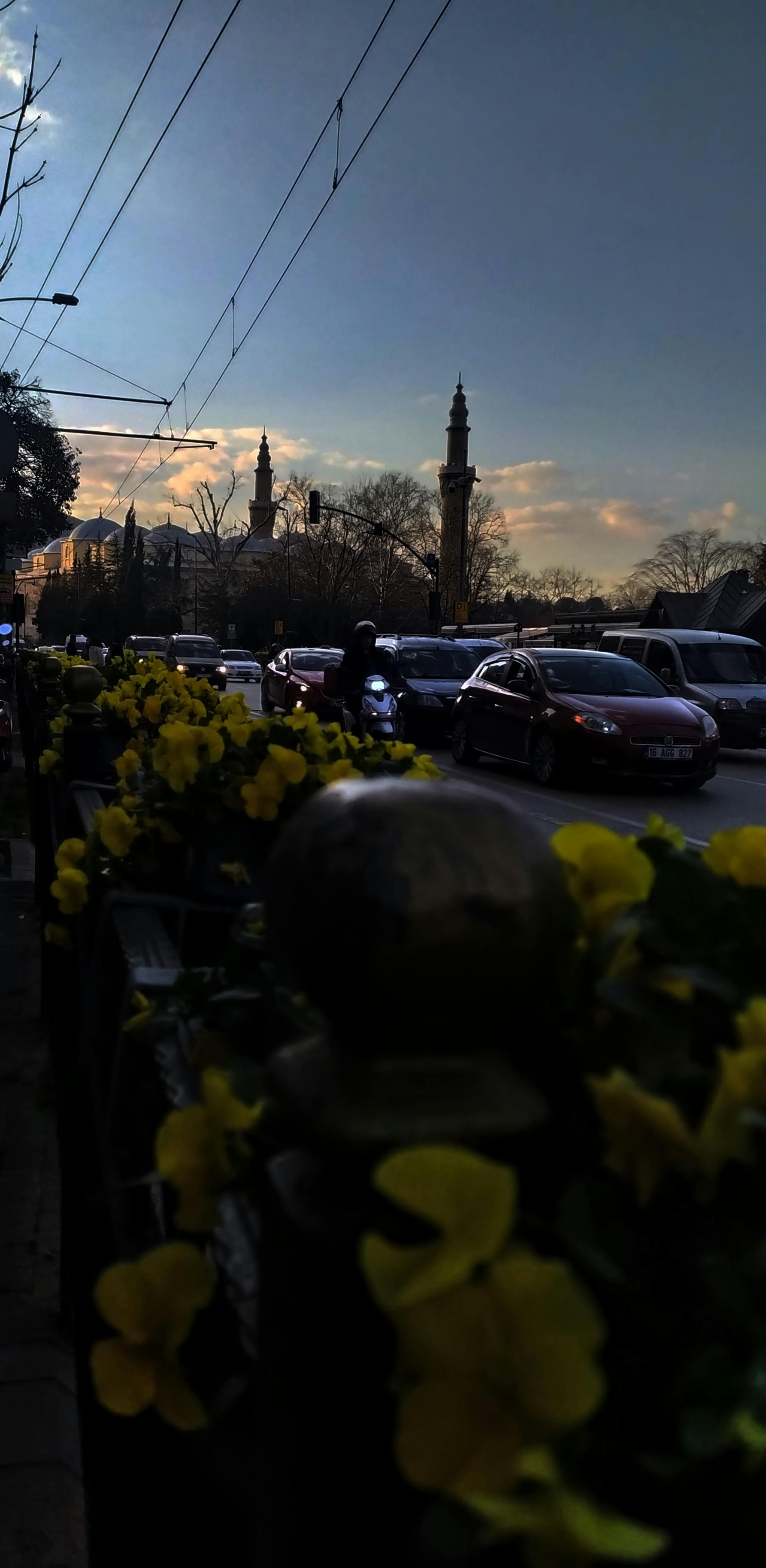 Melike Baran - 写真