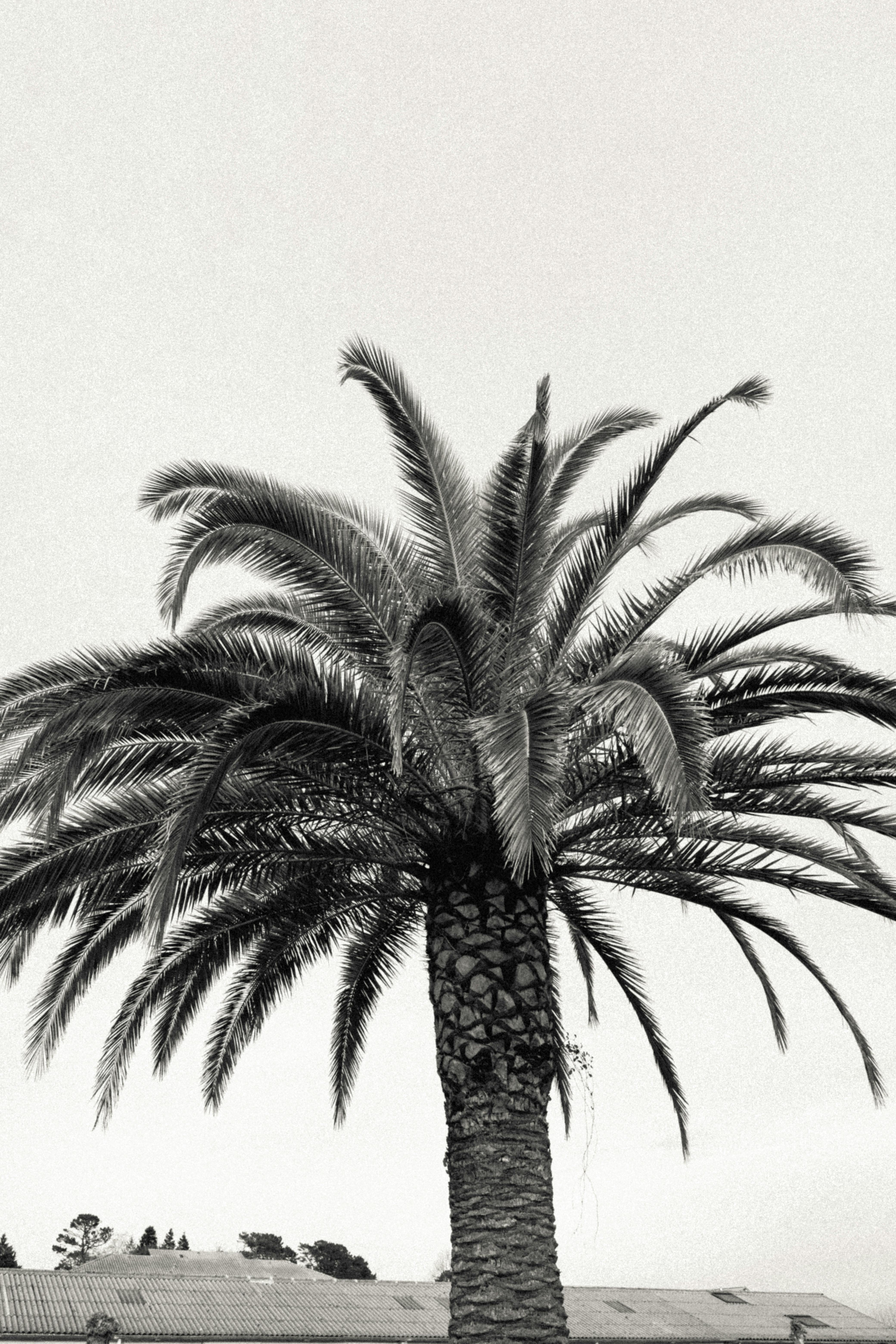 Top Secret Photos, Download The BEST Free Top Secret Stock Photos & HD ...