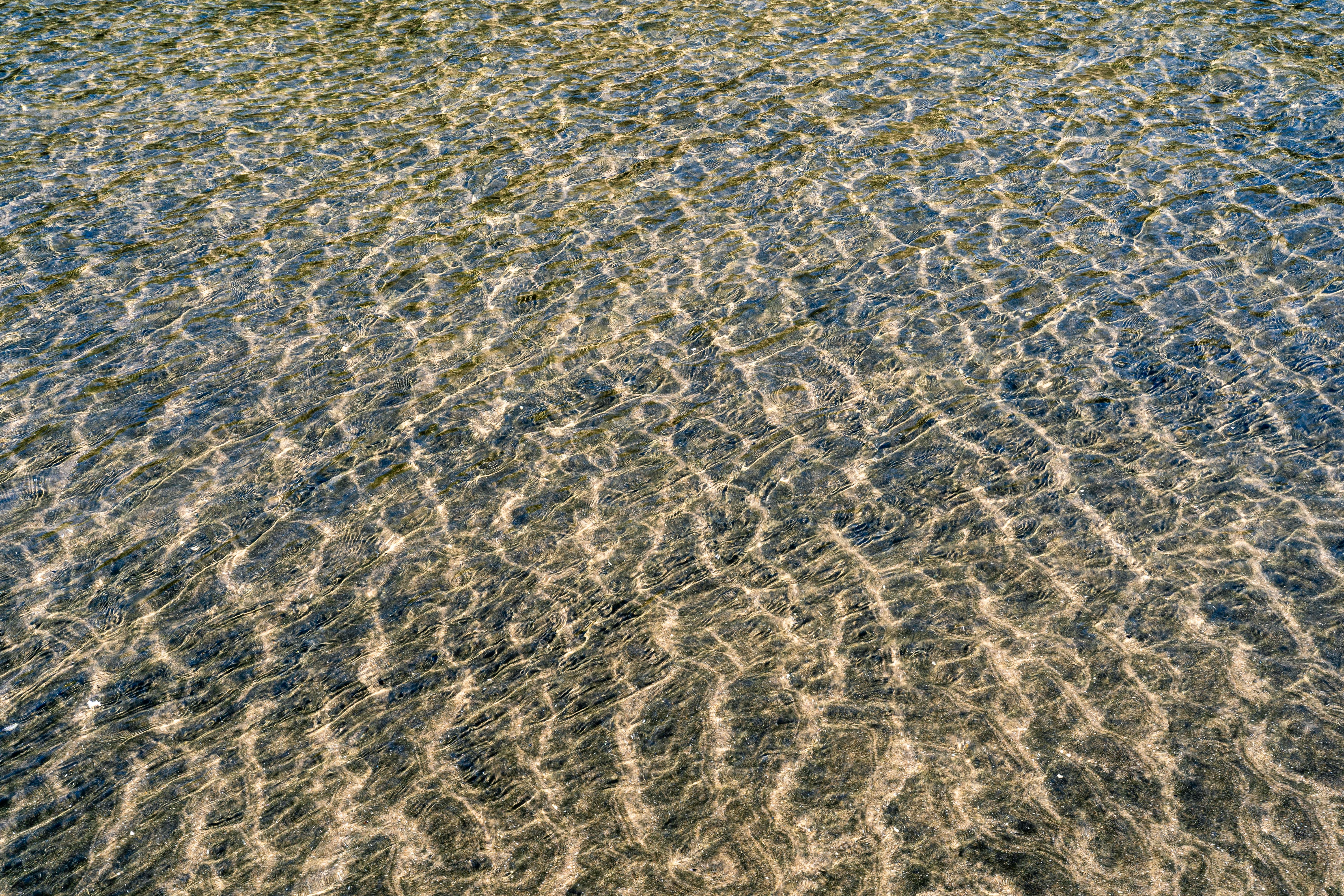 Shallow Water on Sea Shore · Free Stock Photo