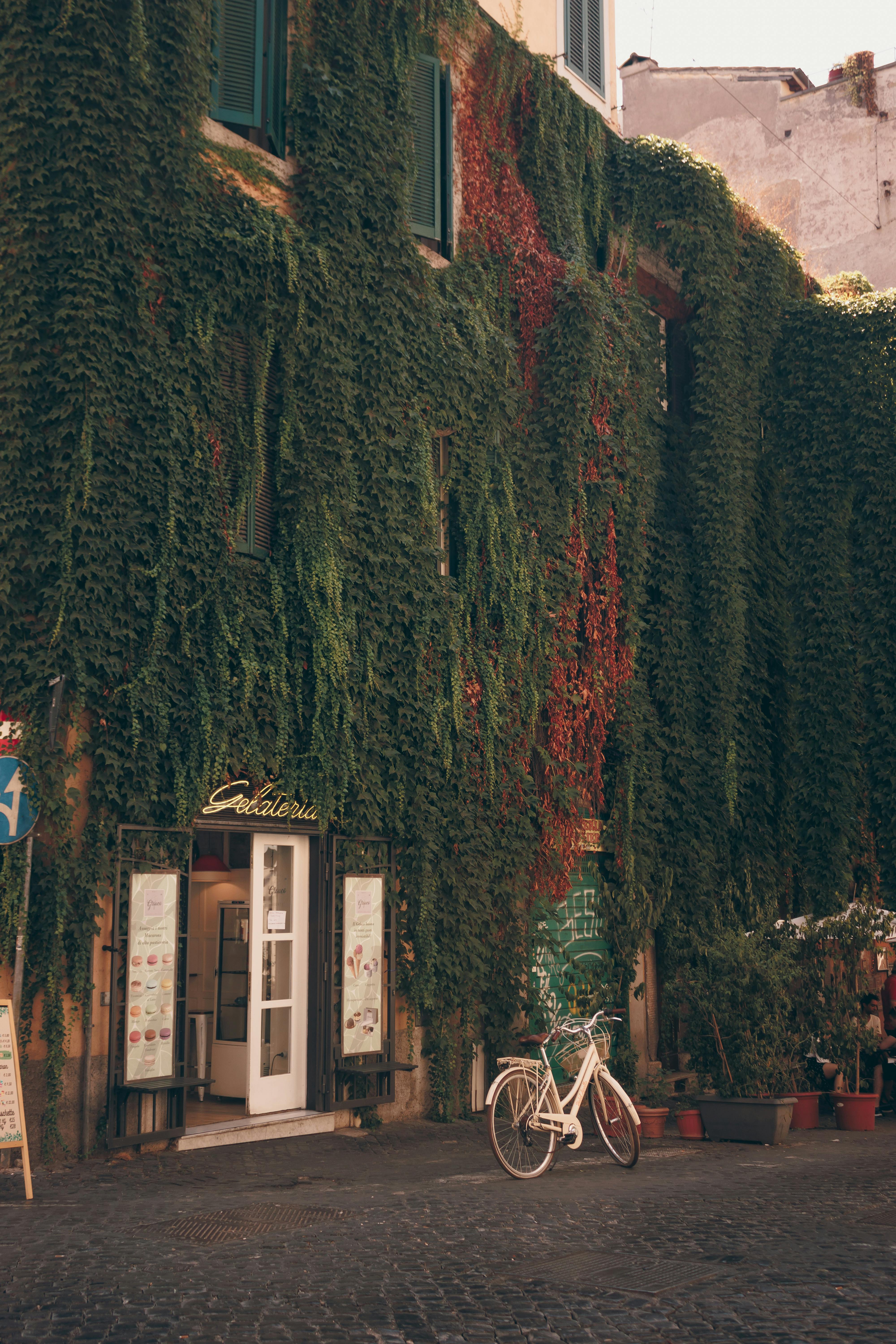 Apartment Building with Vines on the Walls · Free Stock Photo