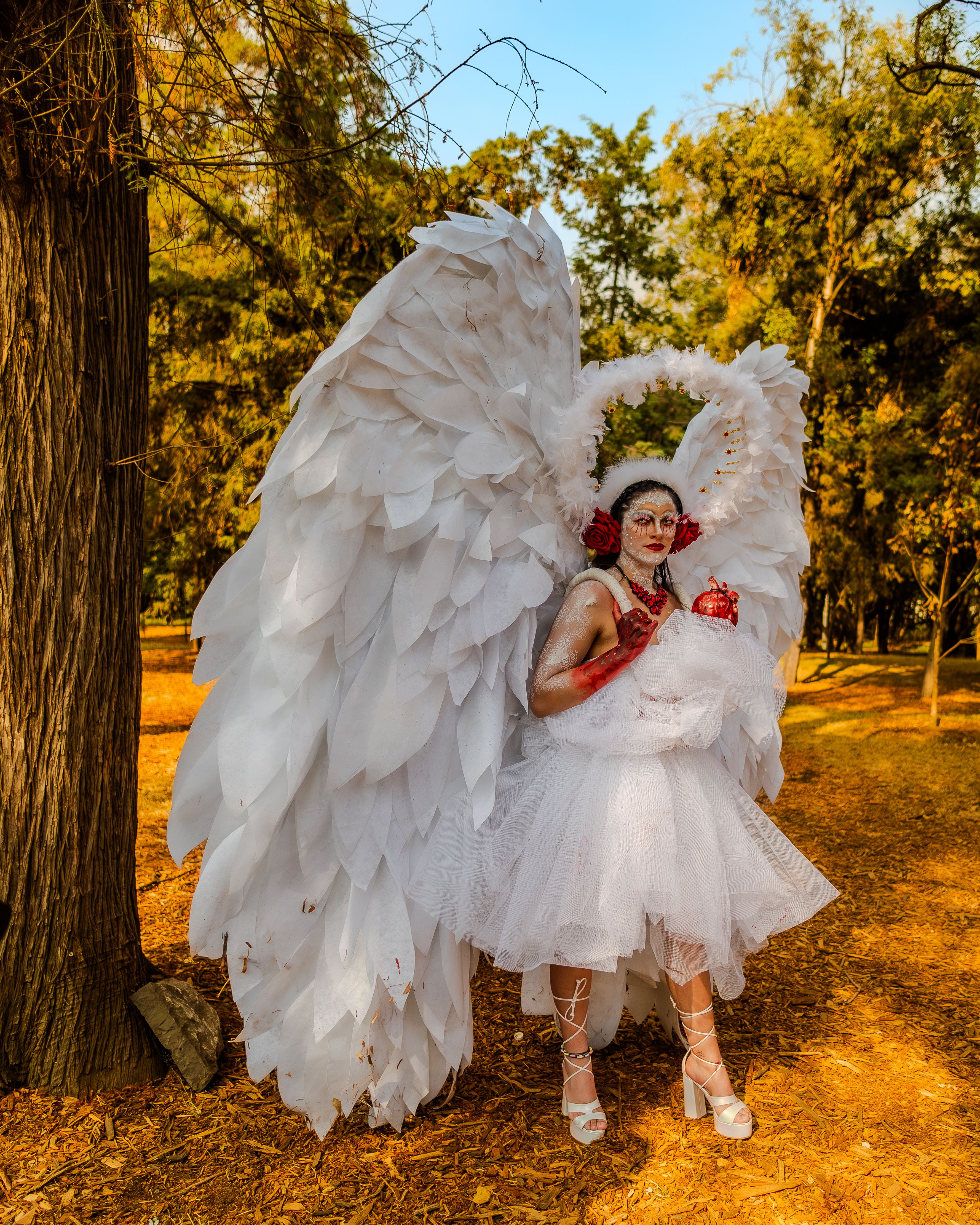 Muerte a cupido · Free Stock Photo
