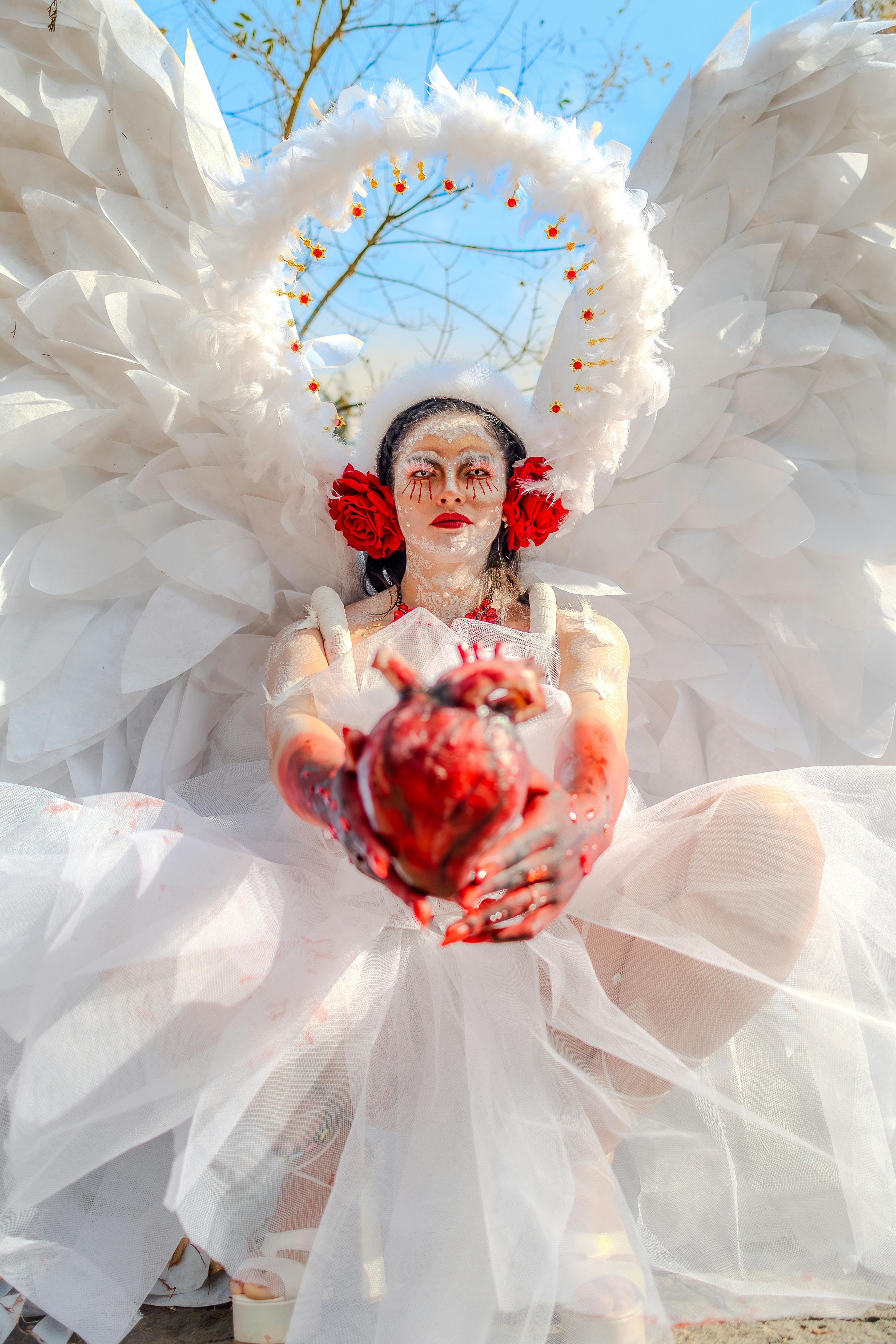 Pexels Heart Vect Photos, Download The BEST Free Pexels Heart Vect ...