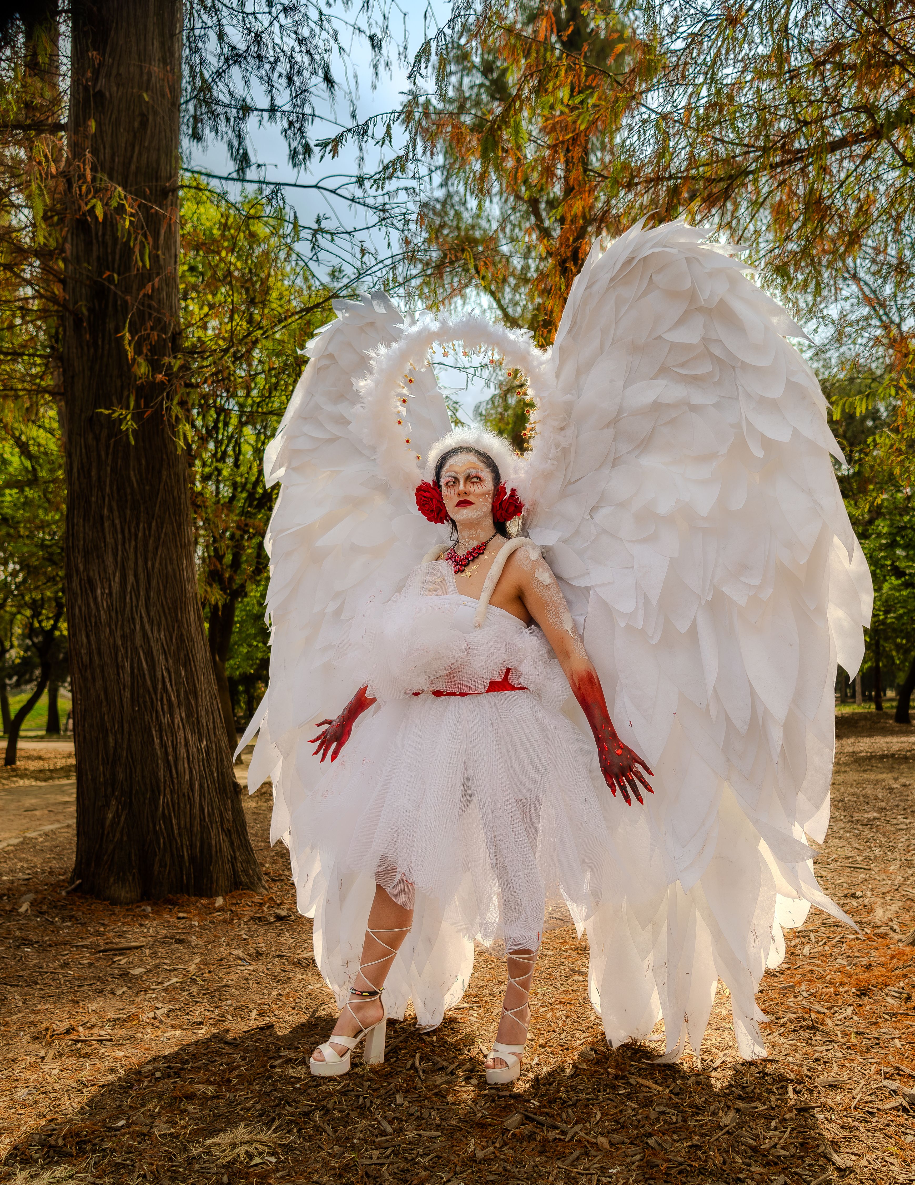 Muerte a cupido · Free Stock Photo