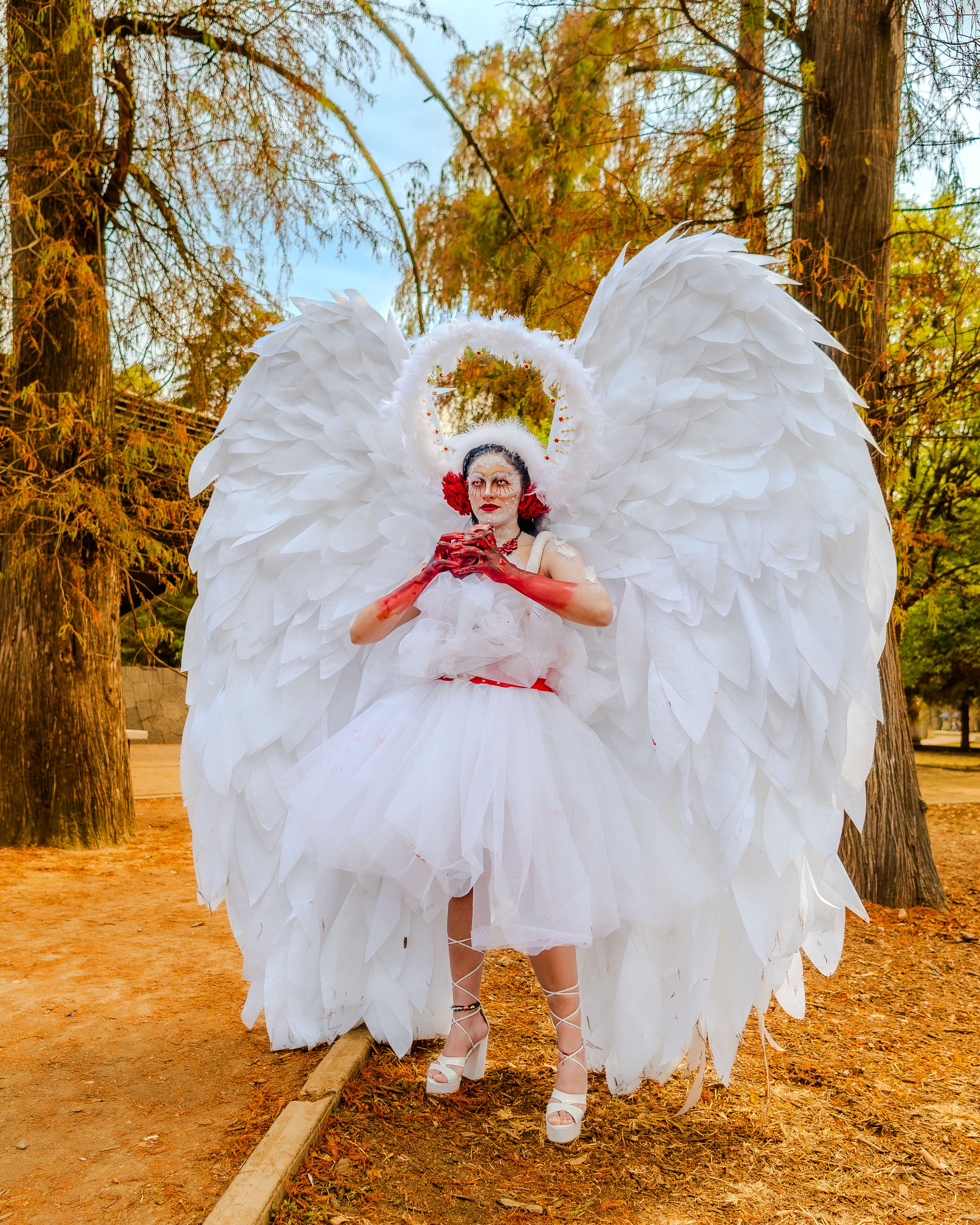 Muerte a cupido · Free Stock Photo