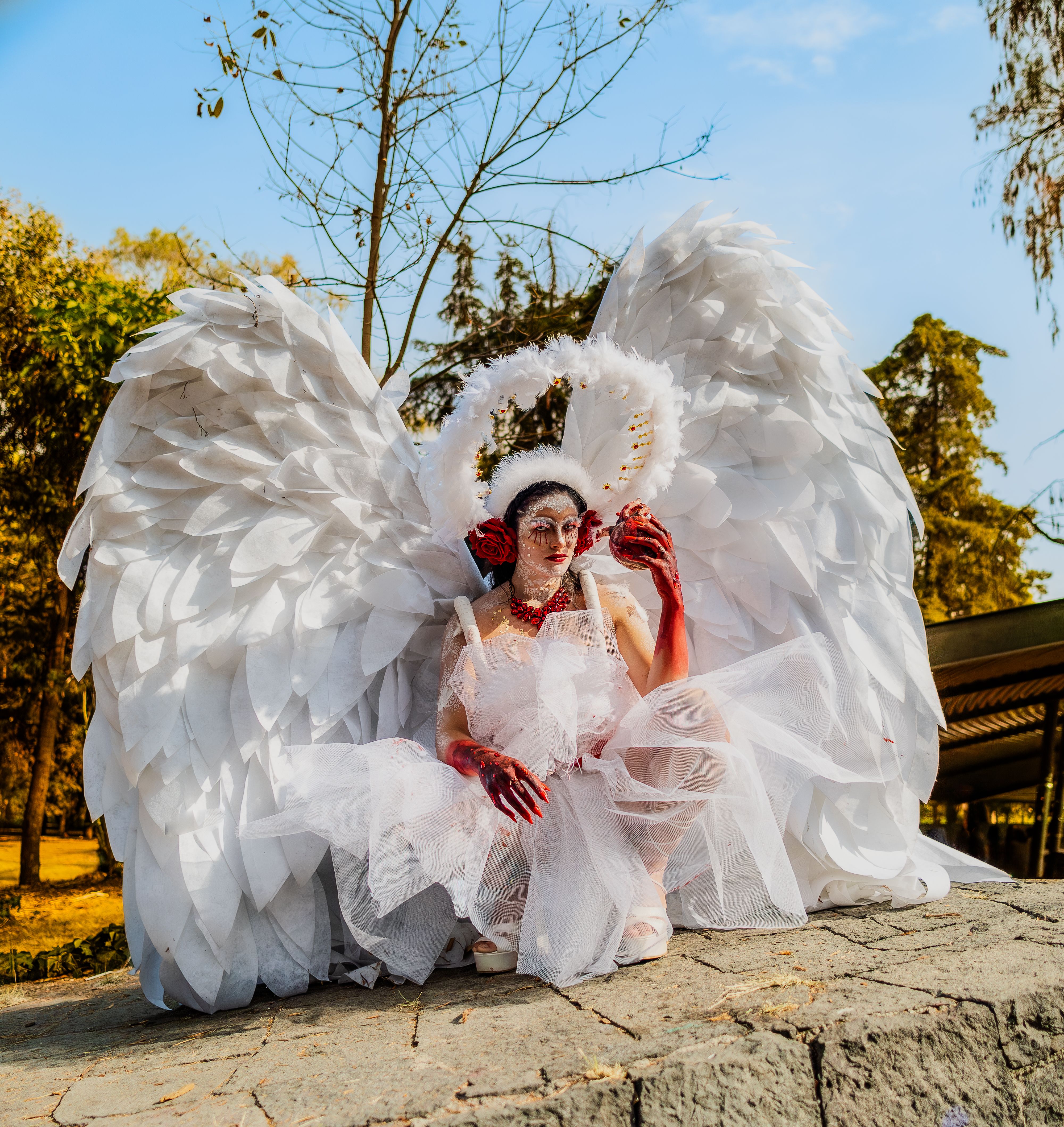 Muerte a cupido · Free Stock Photo