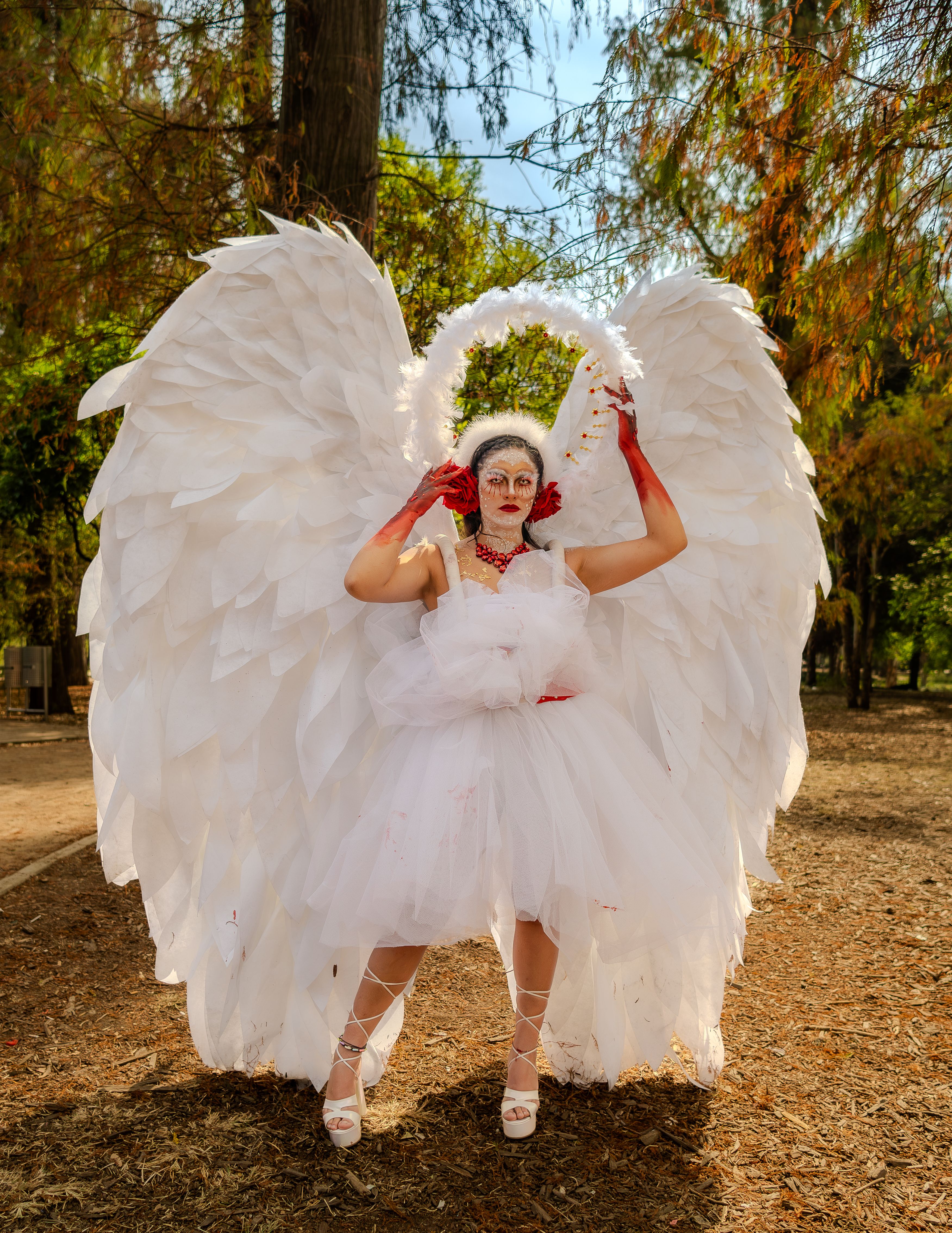 Muerte a cupido · Free Stock Photo