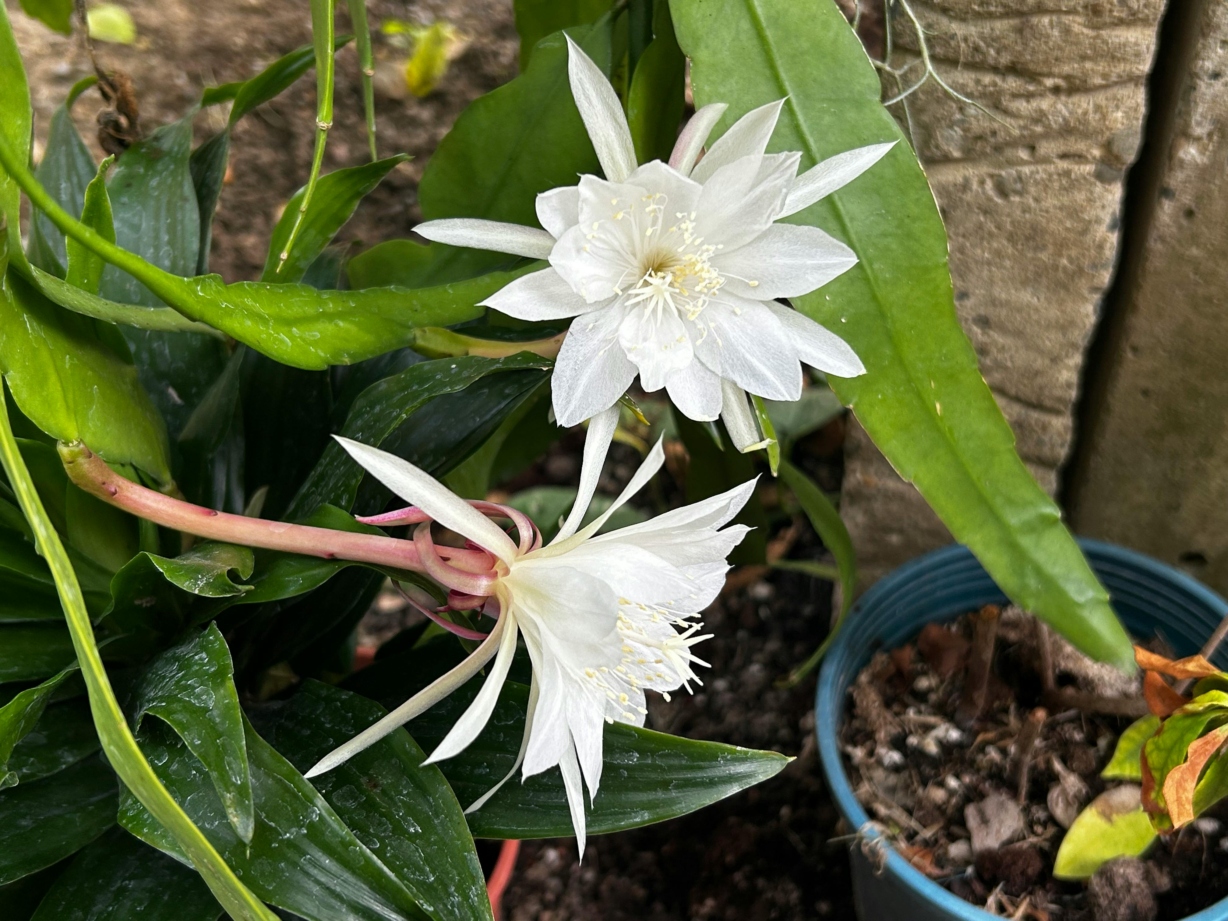 Catherine Huang - Photography