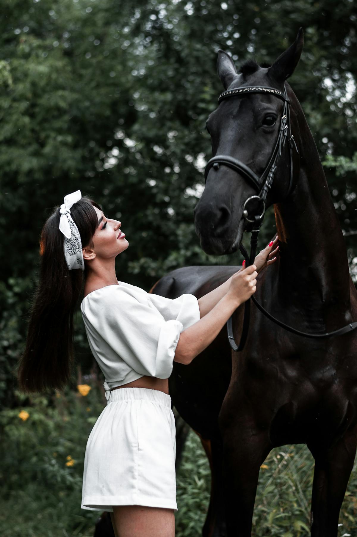 Short Horse Photos, Download The BEST Free Short Horse Stock Photos ...