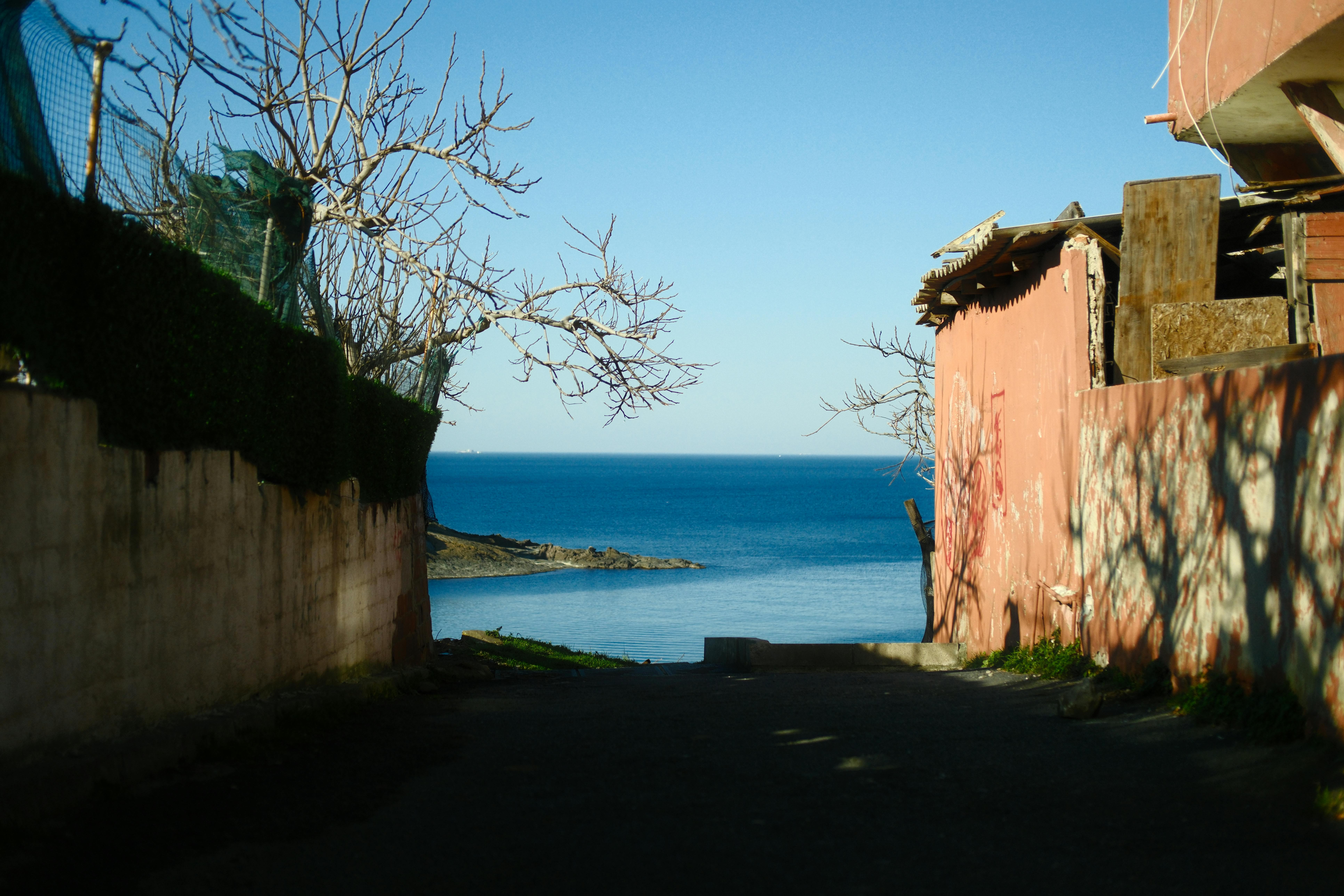 A Rural Shadowy Area By the Sea · Free Stock Photo