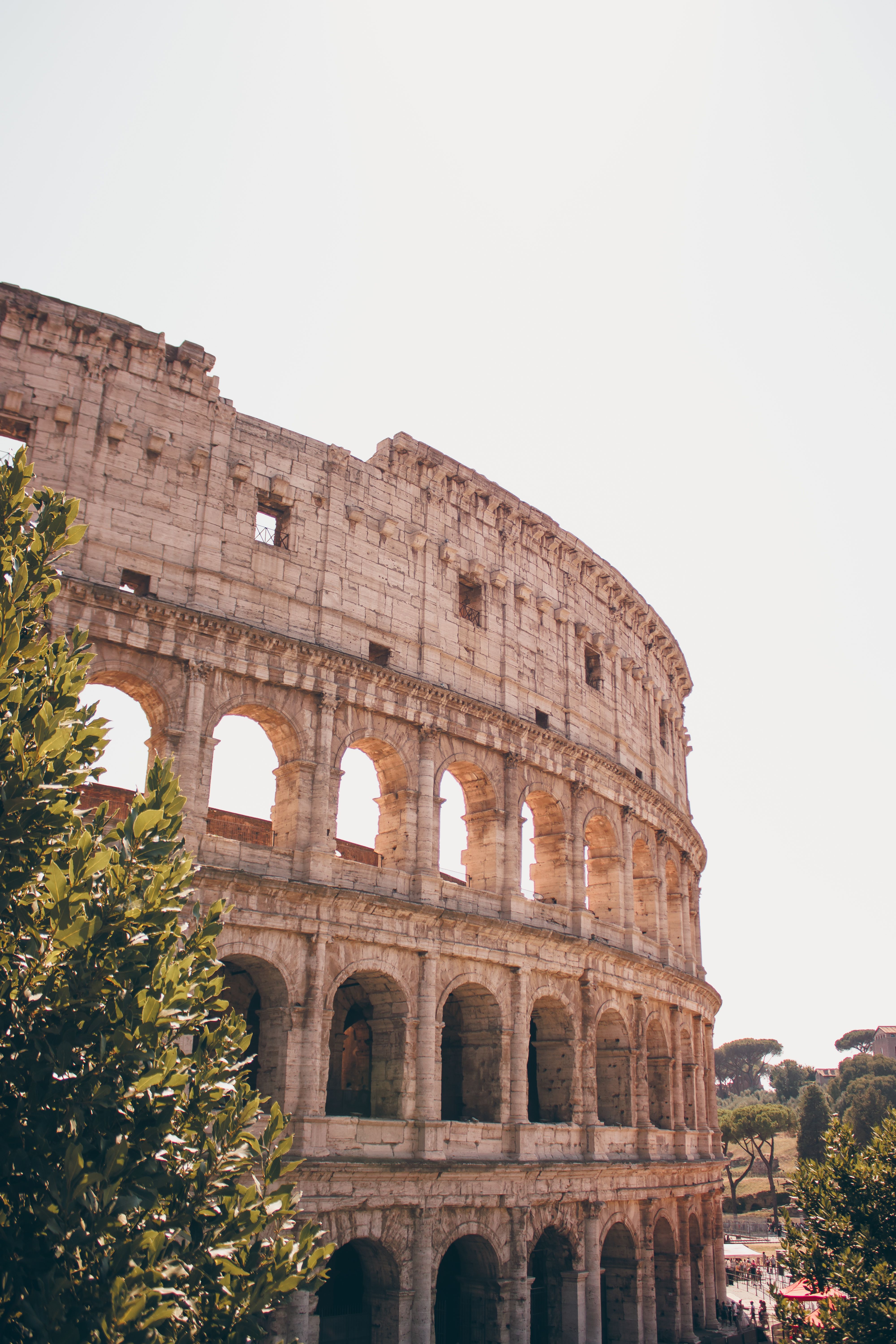 969+ Fotos y Imágenes de El coliseo Gratis · Banco de Fotos Gratis
