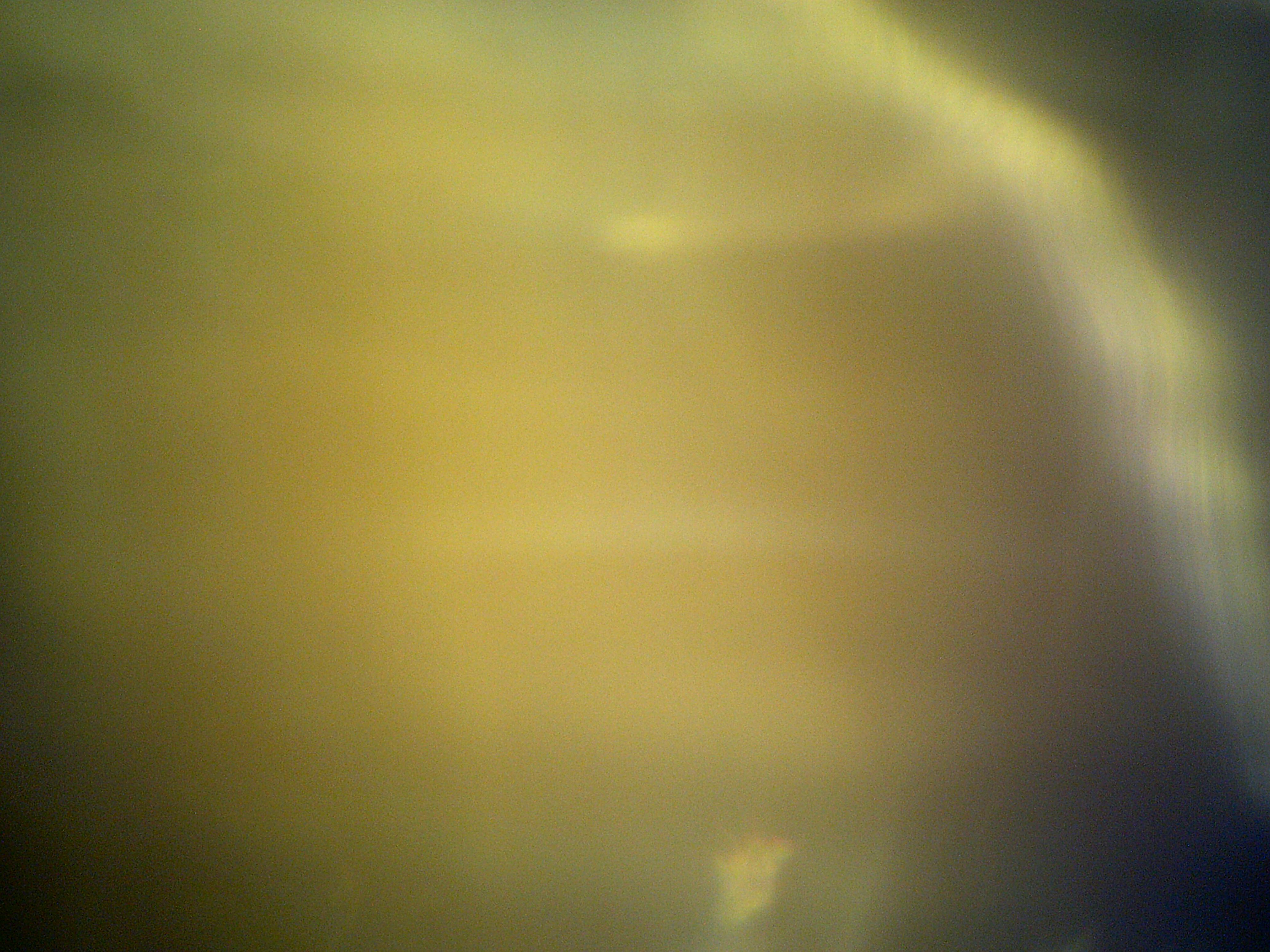 James Ranieri - 사진