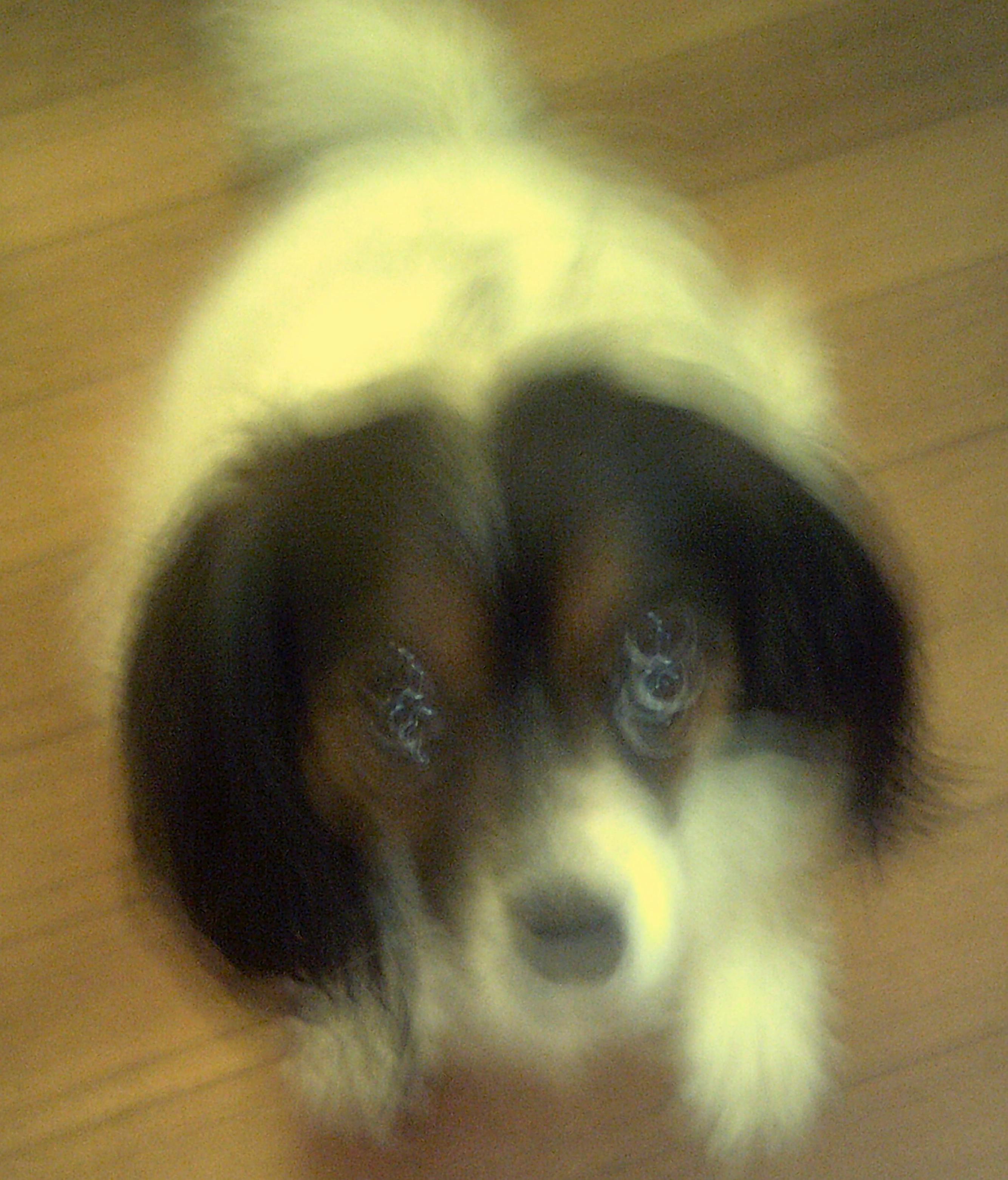 James Ranieri - Photography