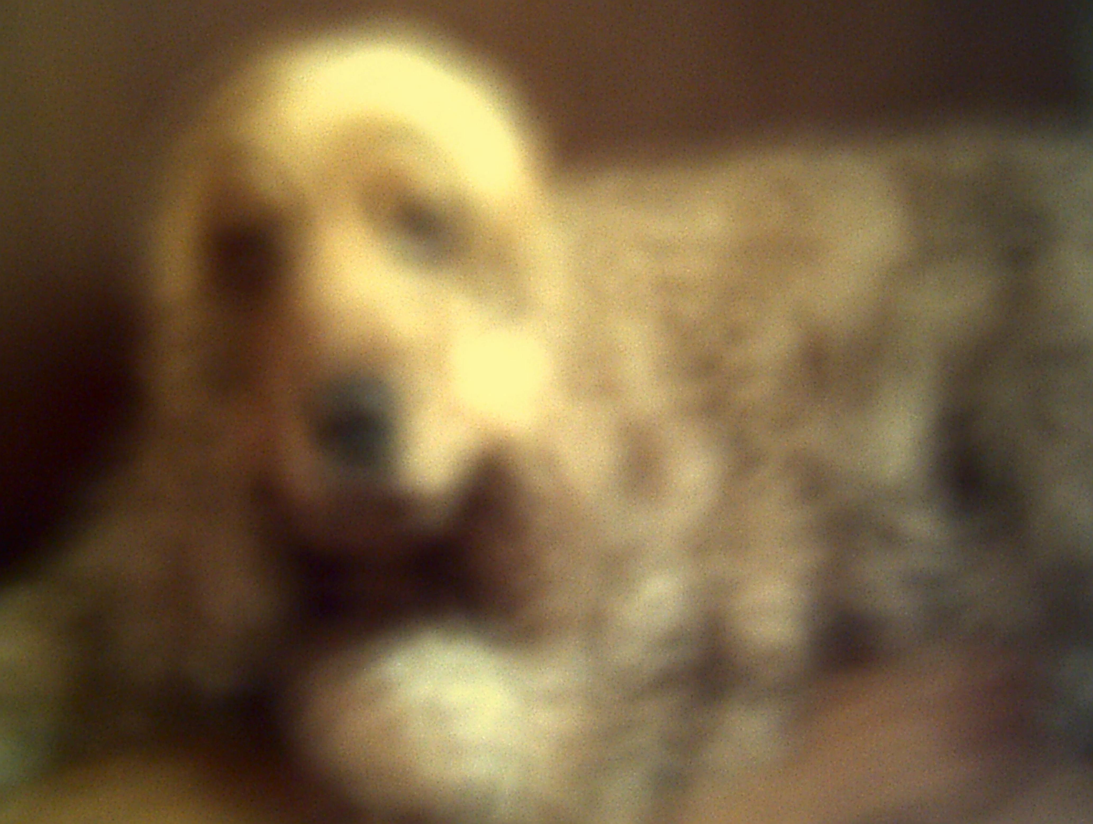 James Ranieri - Photography