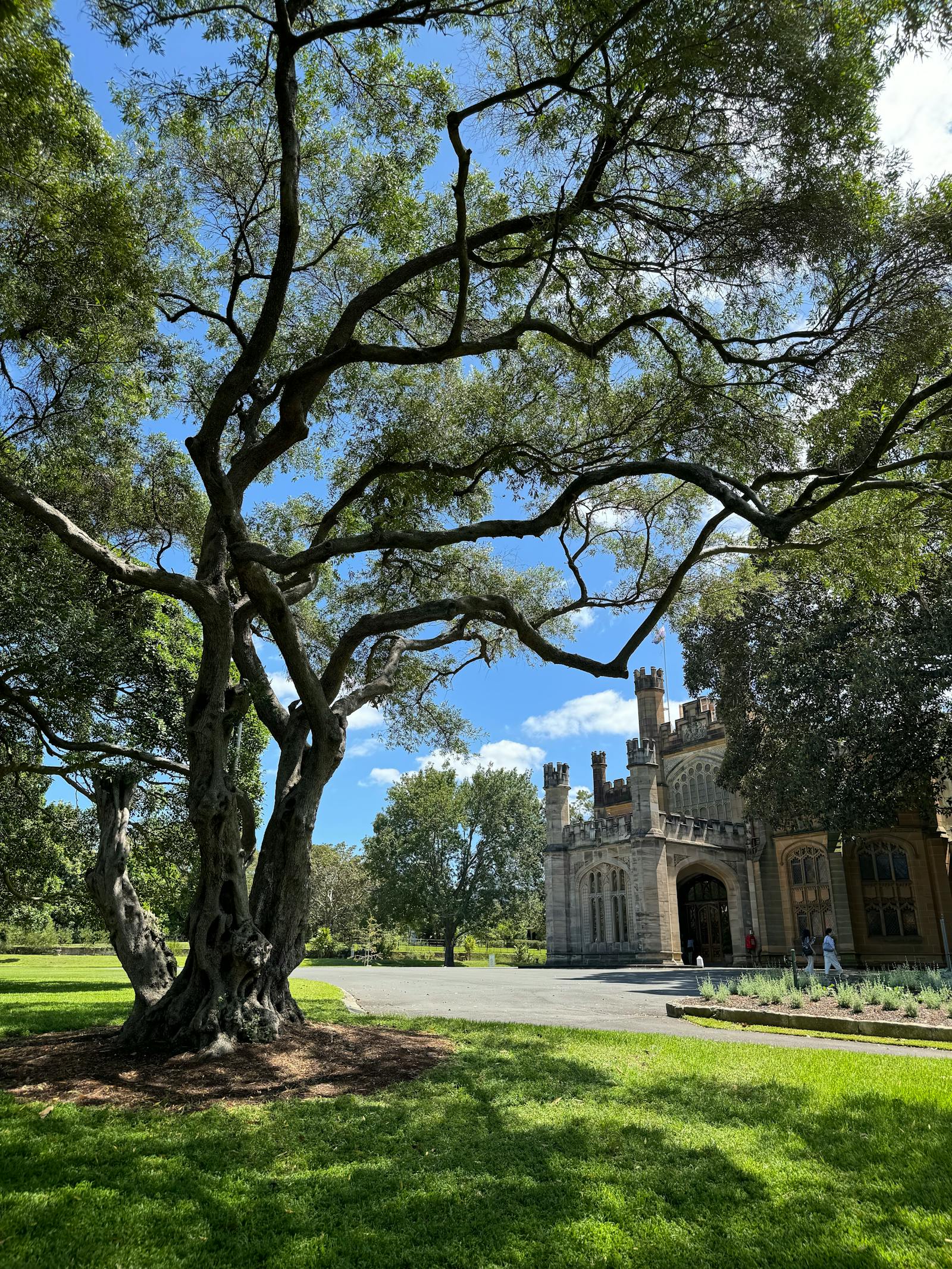 Royal Botanic Garden Sydney Photos, Download The BEST Free Royal ...