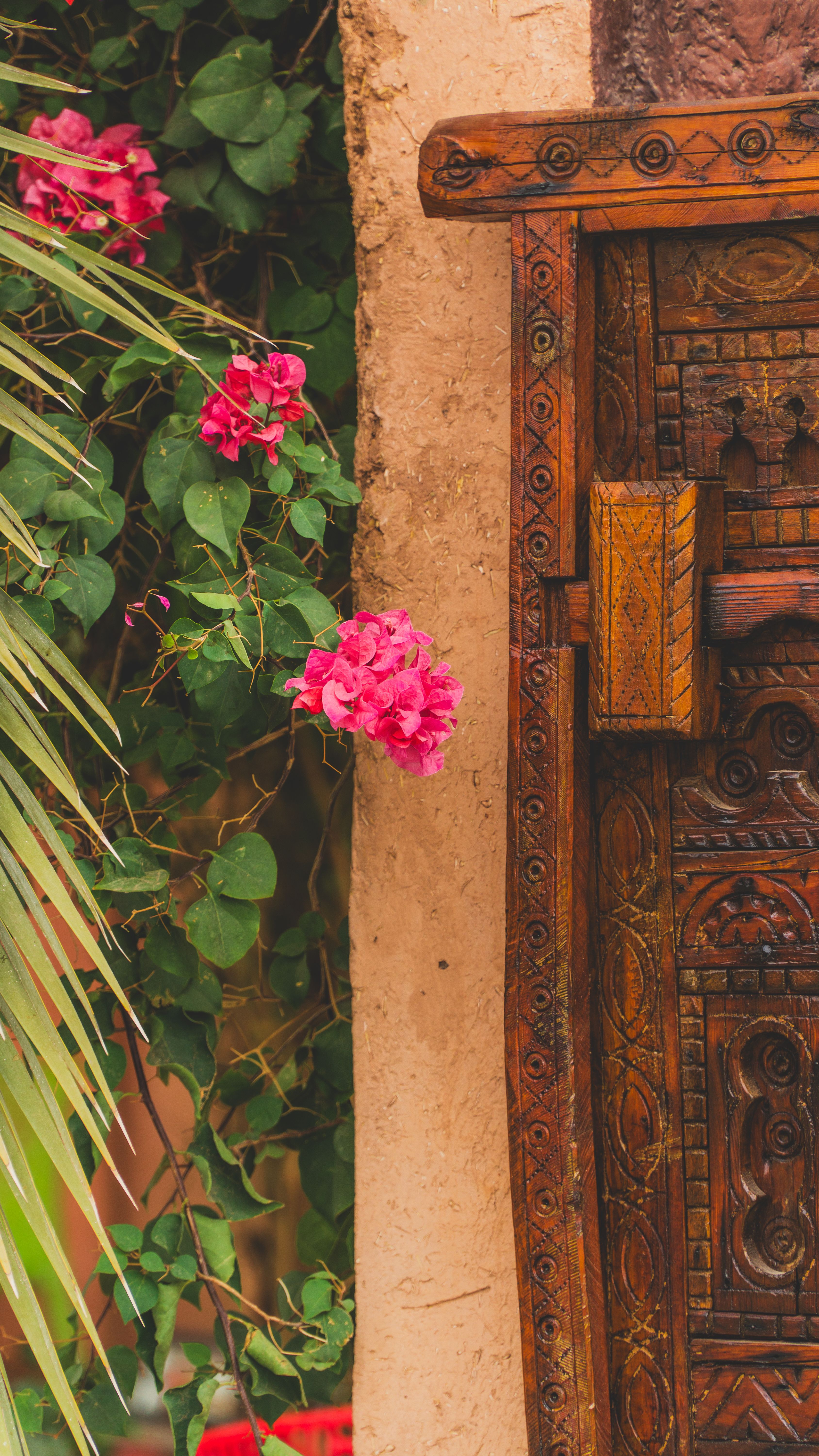 Berberi Tradition · Free Stock Photo