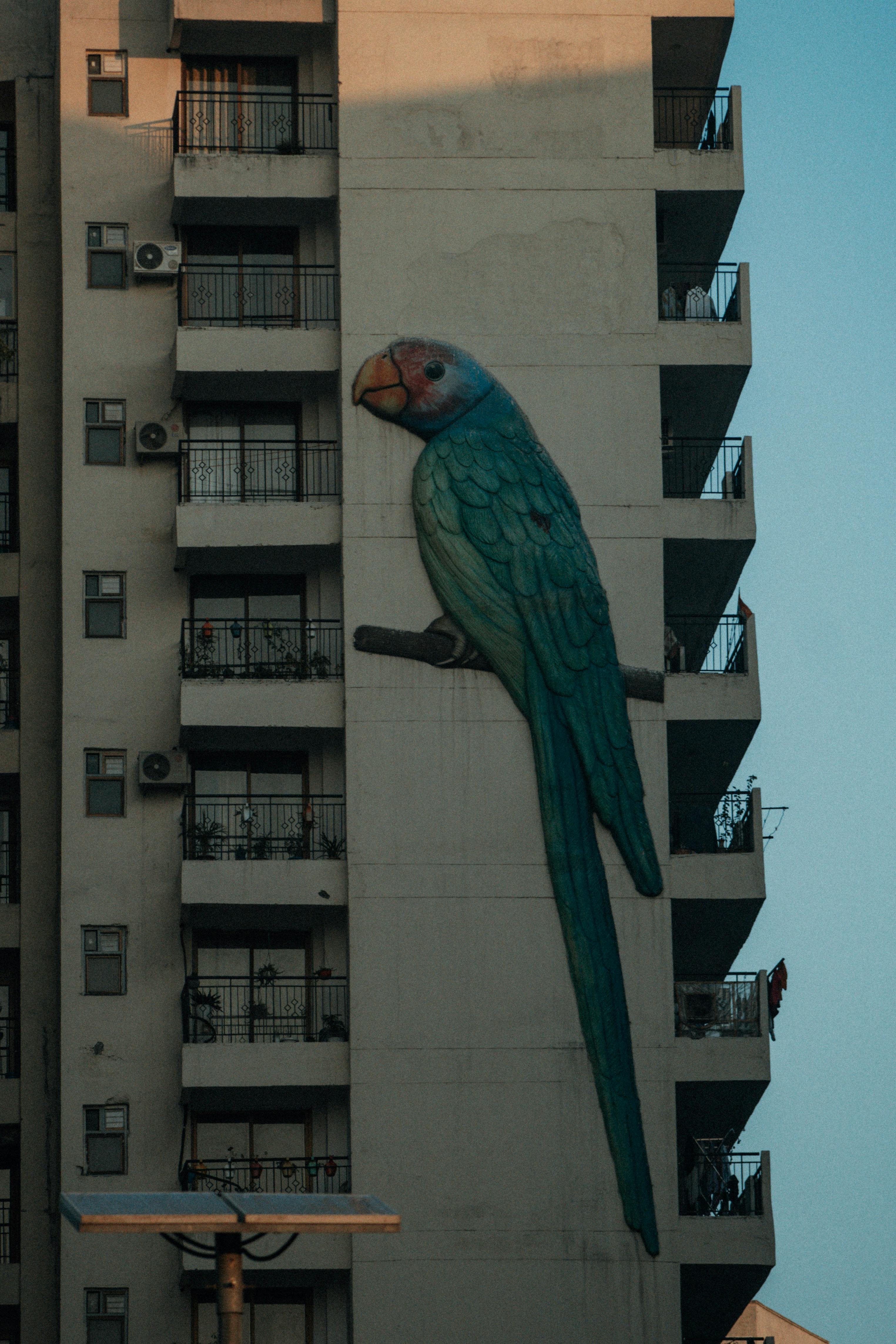 Exterior of an Apartment Building with a Painting of a Parrot · Free ...