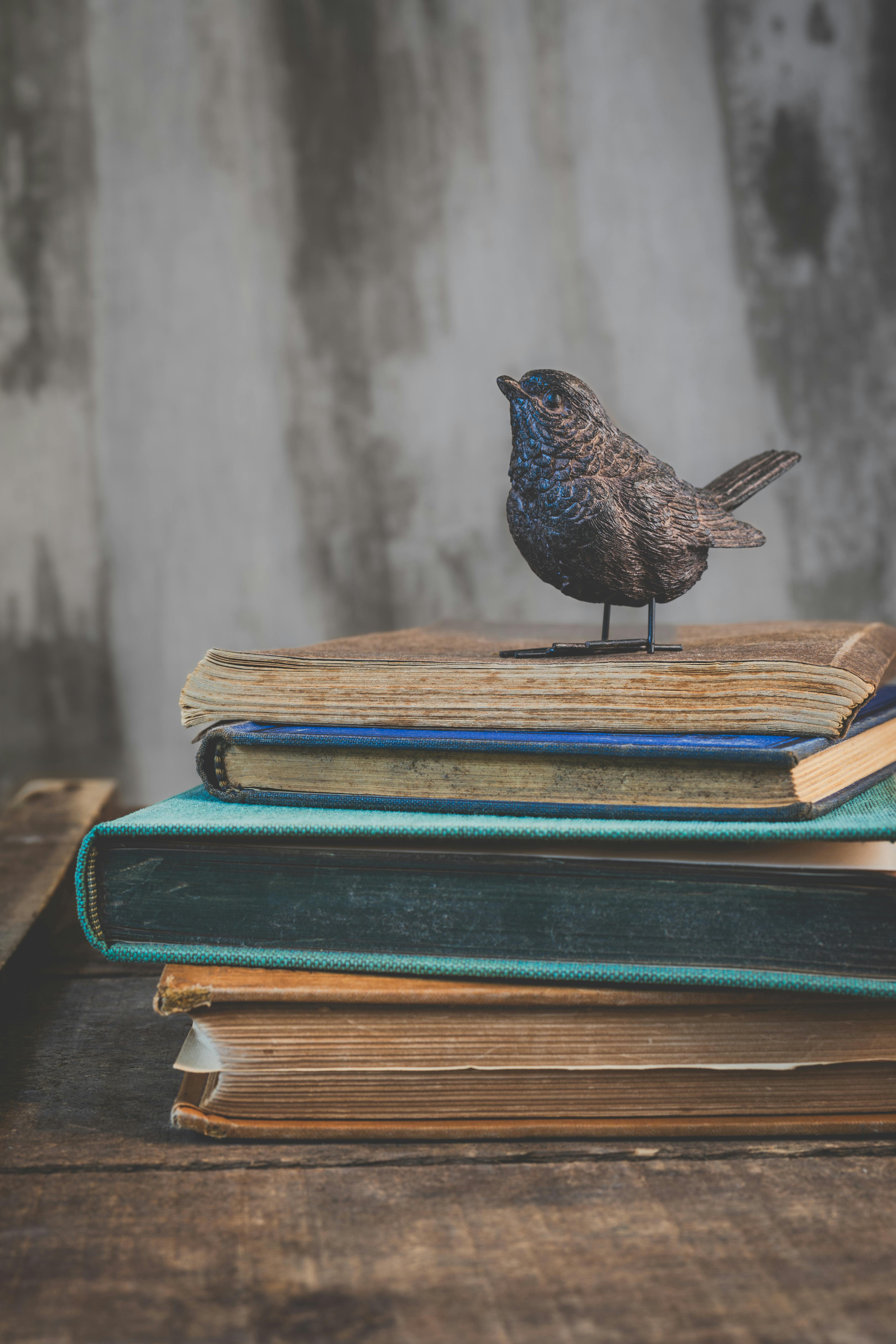 Bird Figurine on Stack of Old Books · Free Stock Photo