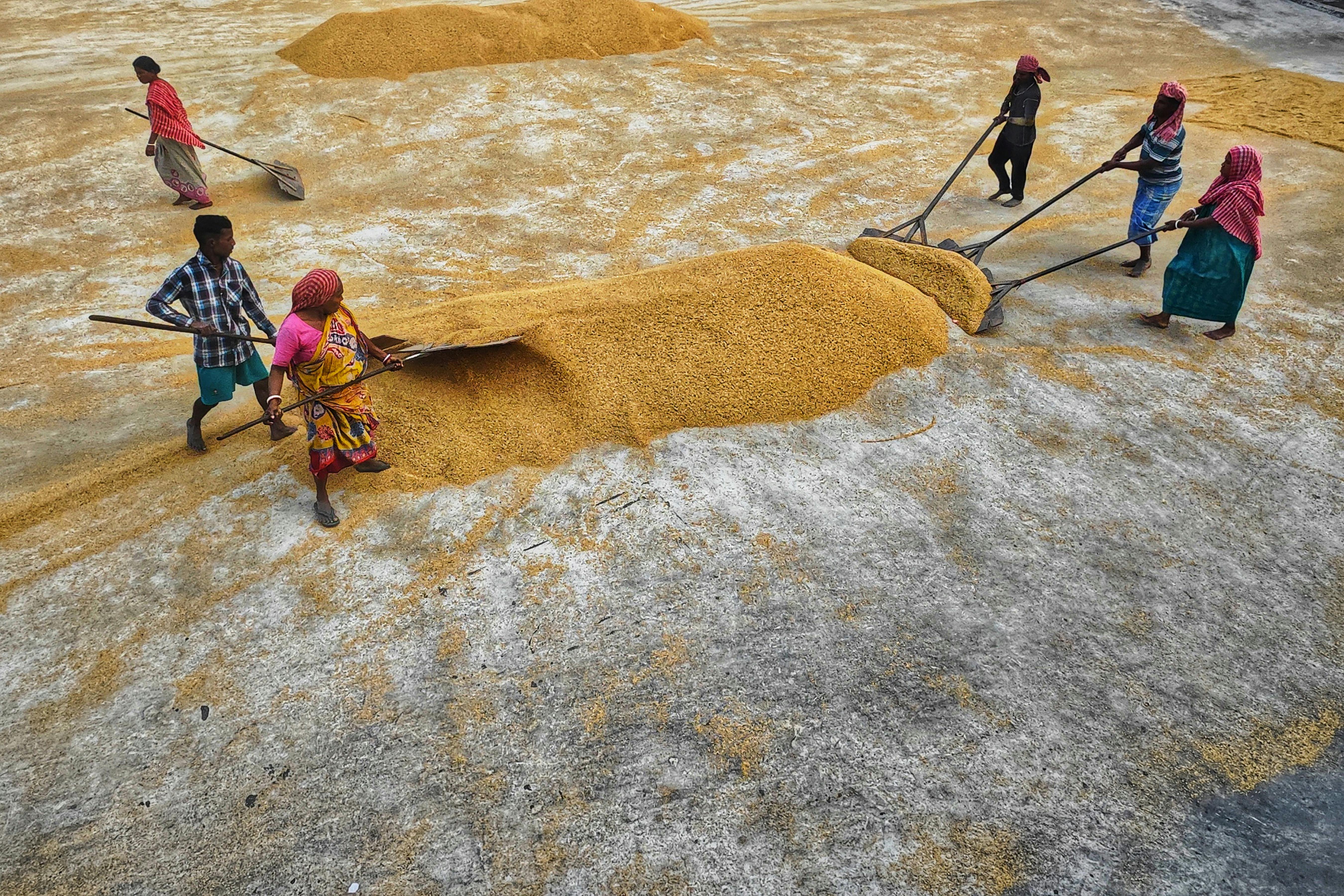 Rural group work 18. · Free Stock Photo