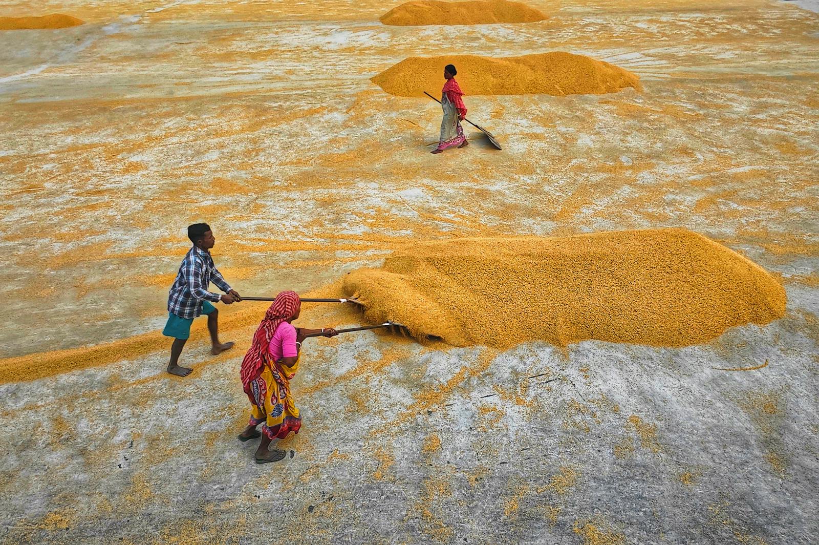 People Field Photos, Download The BEST Free People Field Stock Photos ...