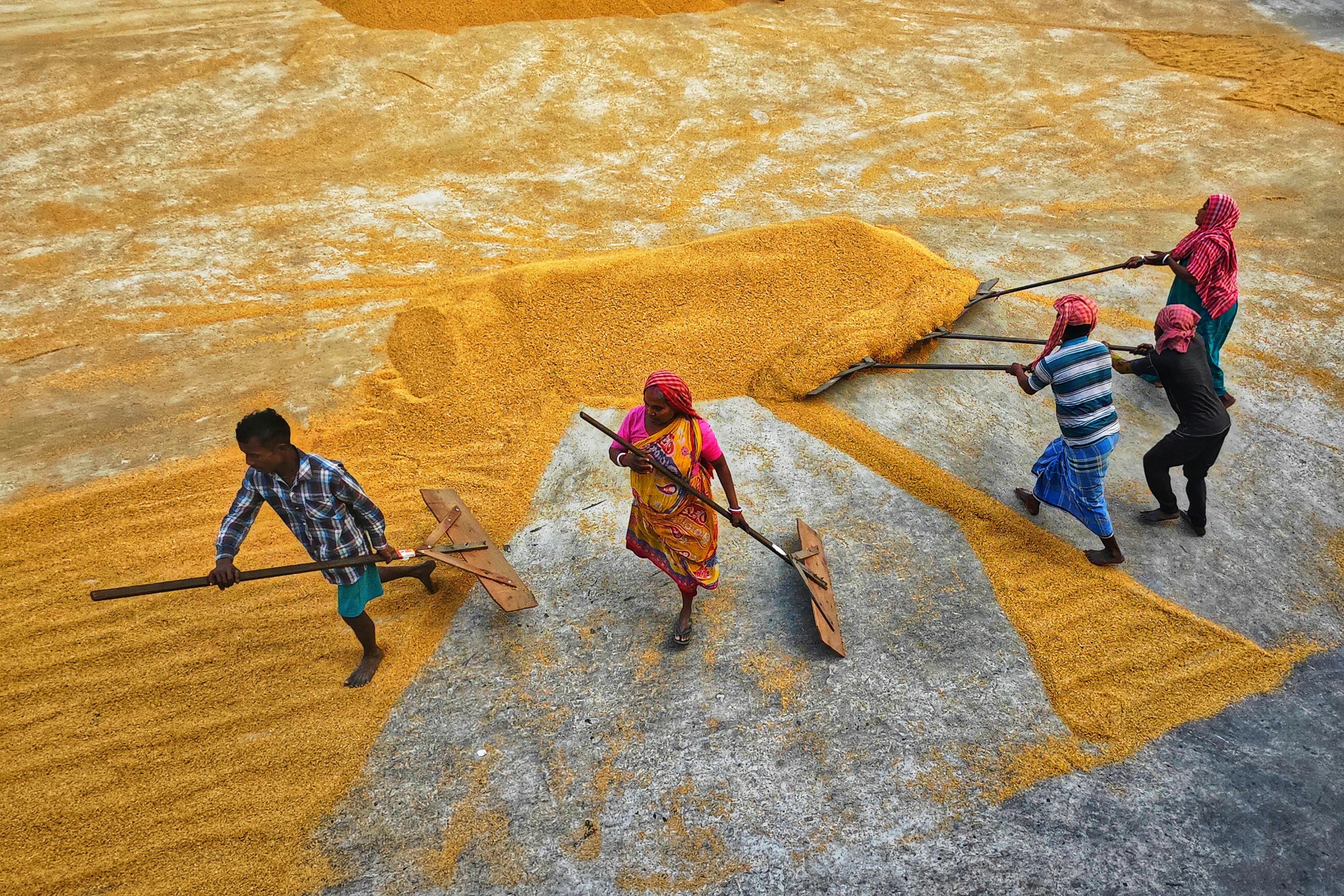 Rural group work 16. · Free Stock Photo