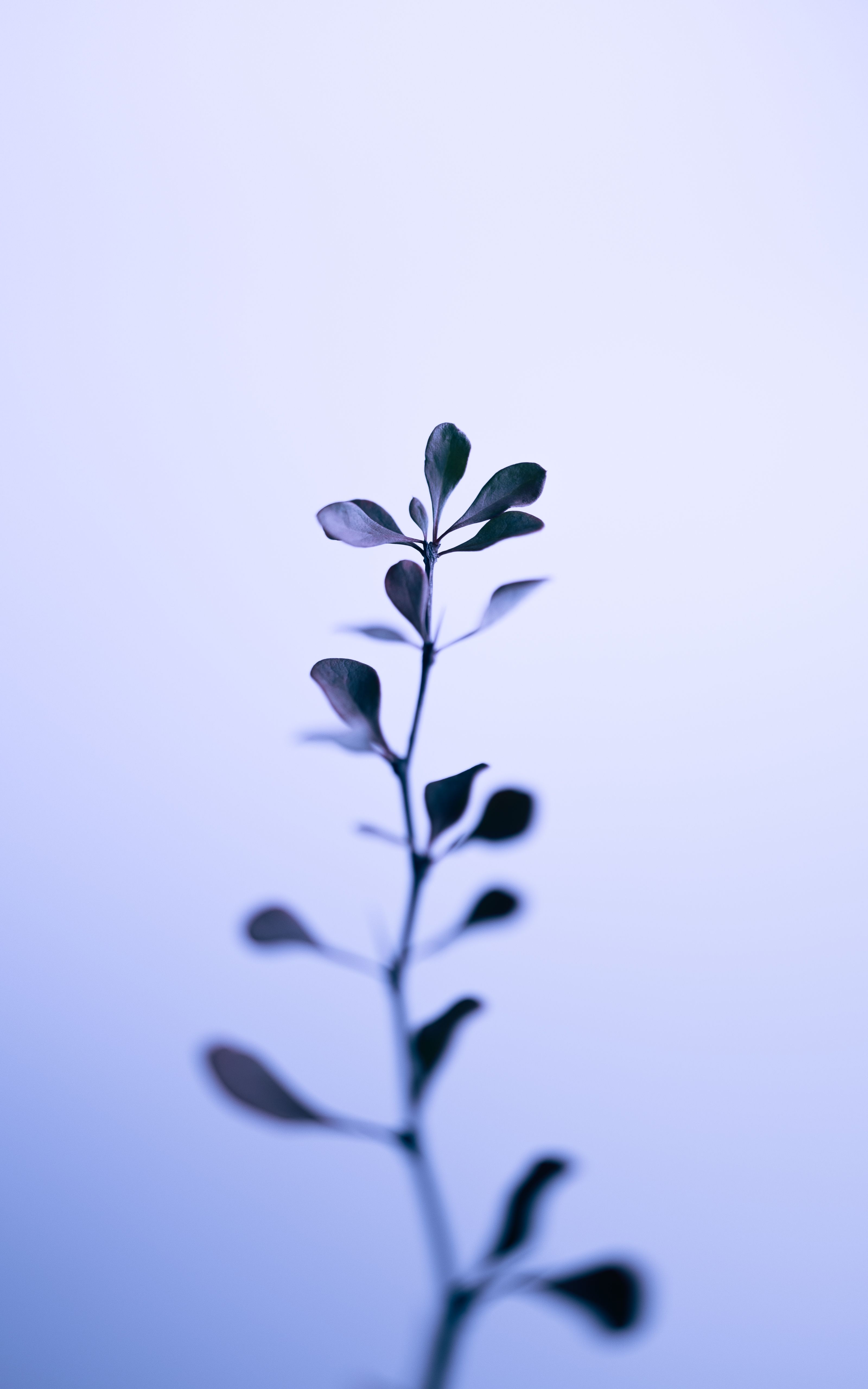 Blue Love Background Photos, Download The BEST Free Blue Love ...