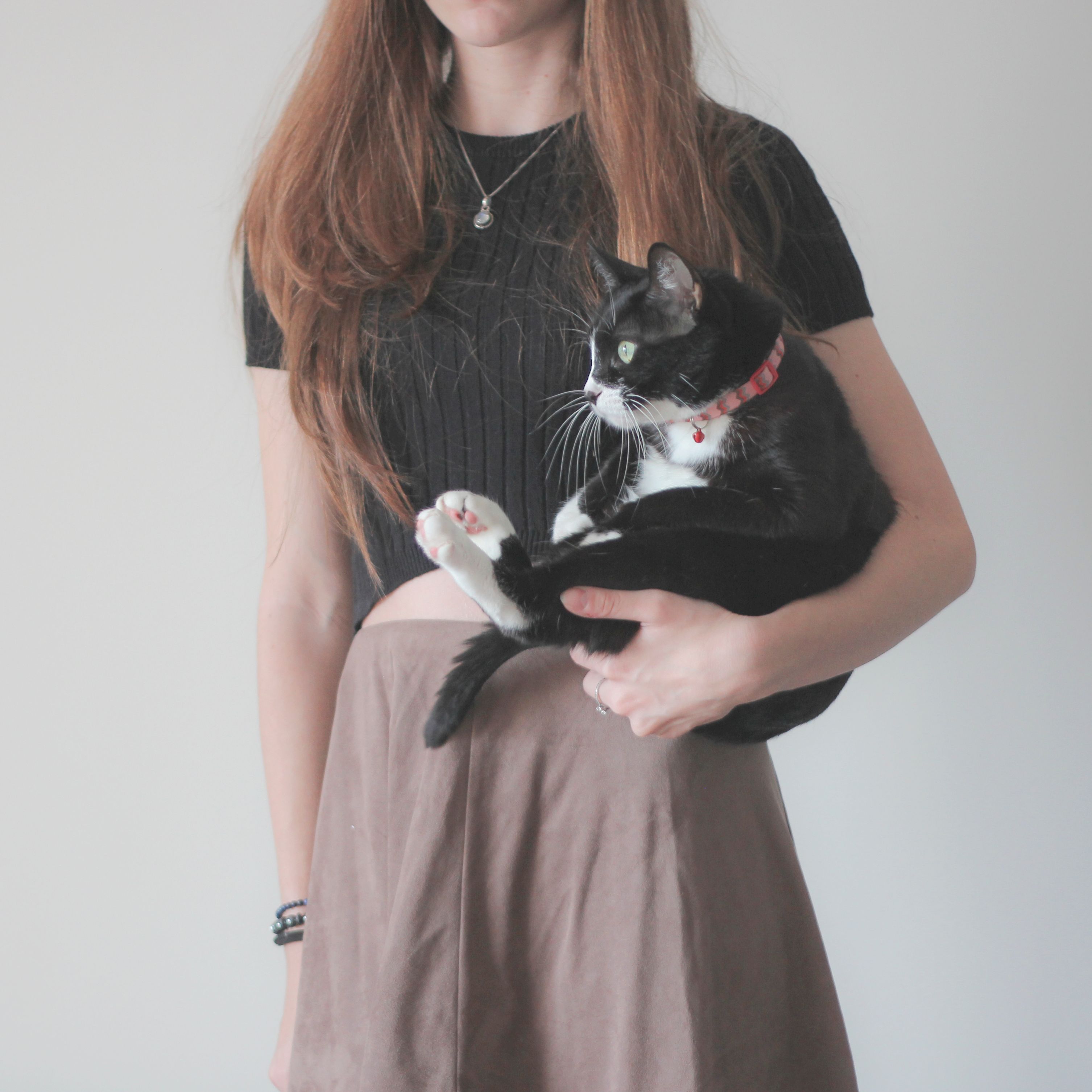Cat Photoshoot Photos, Download The BEST Free Cat Photoshoot Stock ...