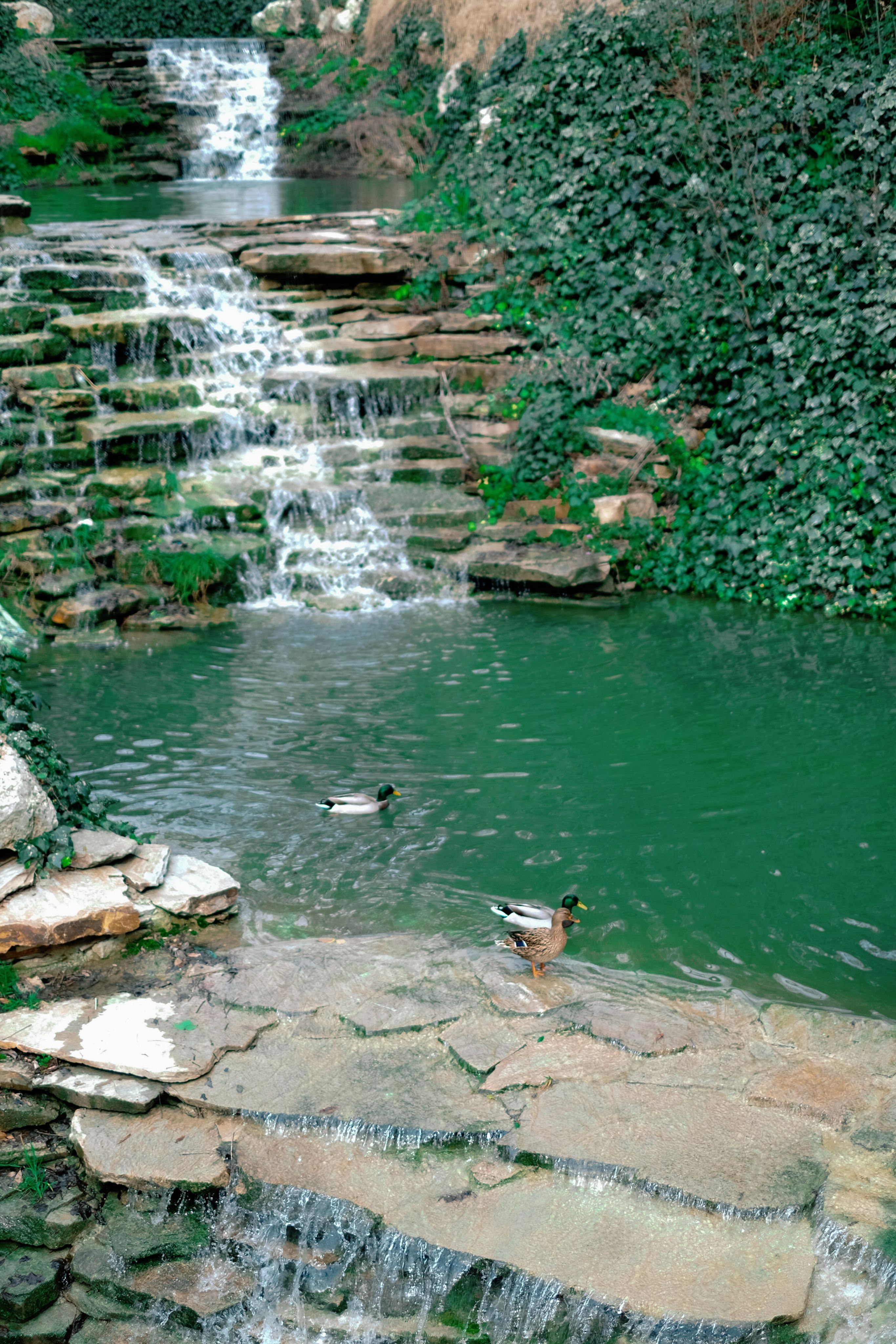 Hot Waterfall Photos, Download The BEST Free Hot Waterfall Stock Photos ...