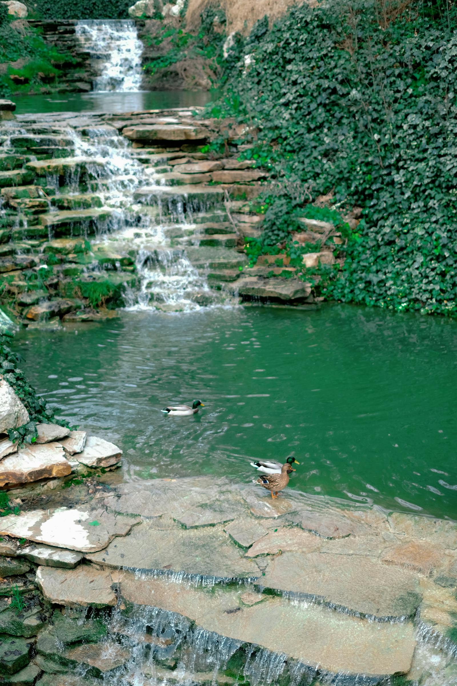 Aesthetic Waterfall Photos, Download The BEST Free Aesthetic Waterfall ...