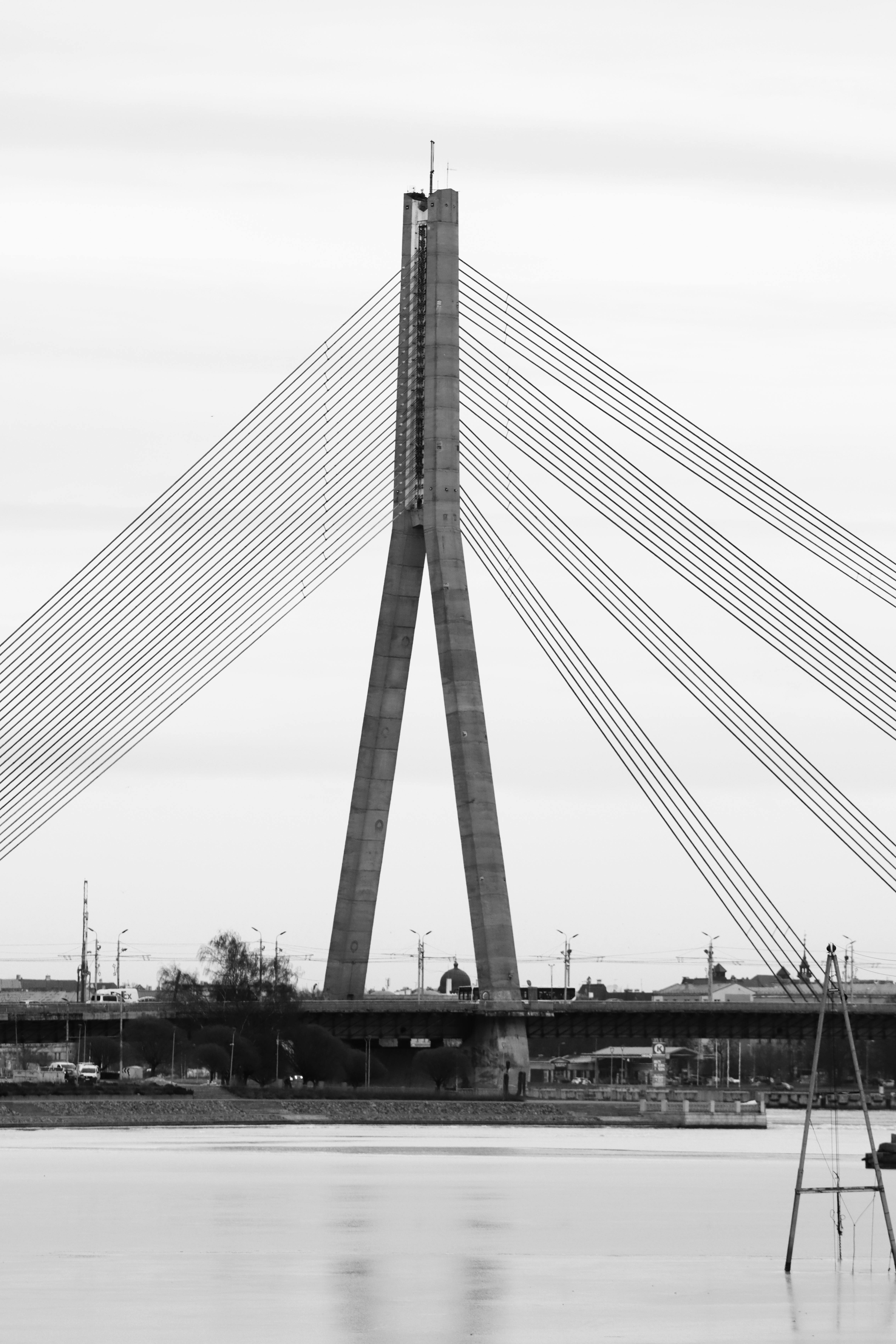 black and white · Free Stock Photo