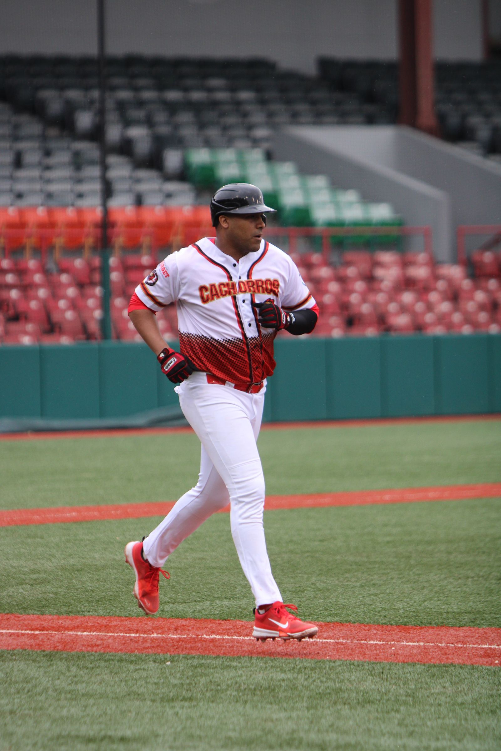 Baseball Player Photos, Download The BEST Free Baseball Player Stock ...