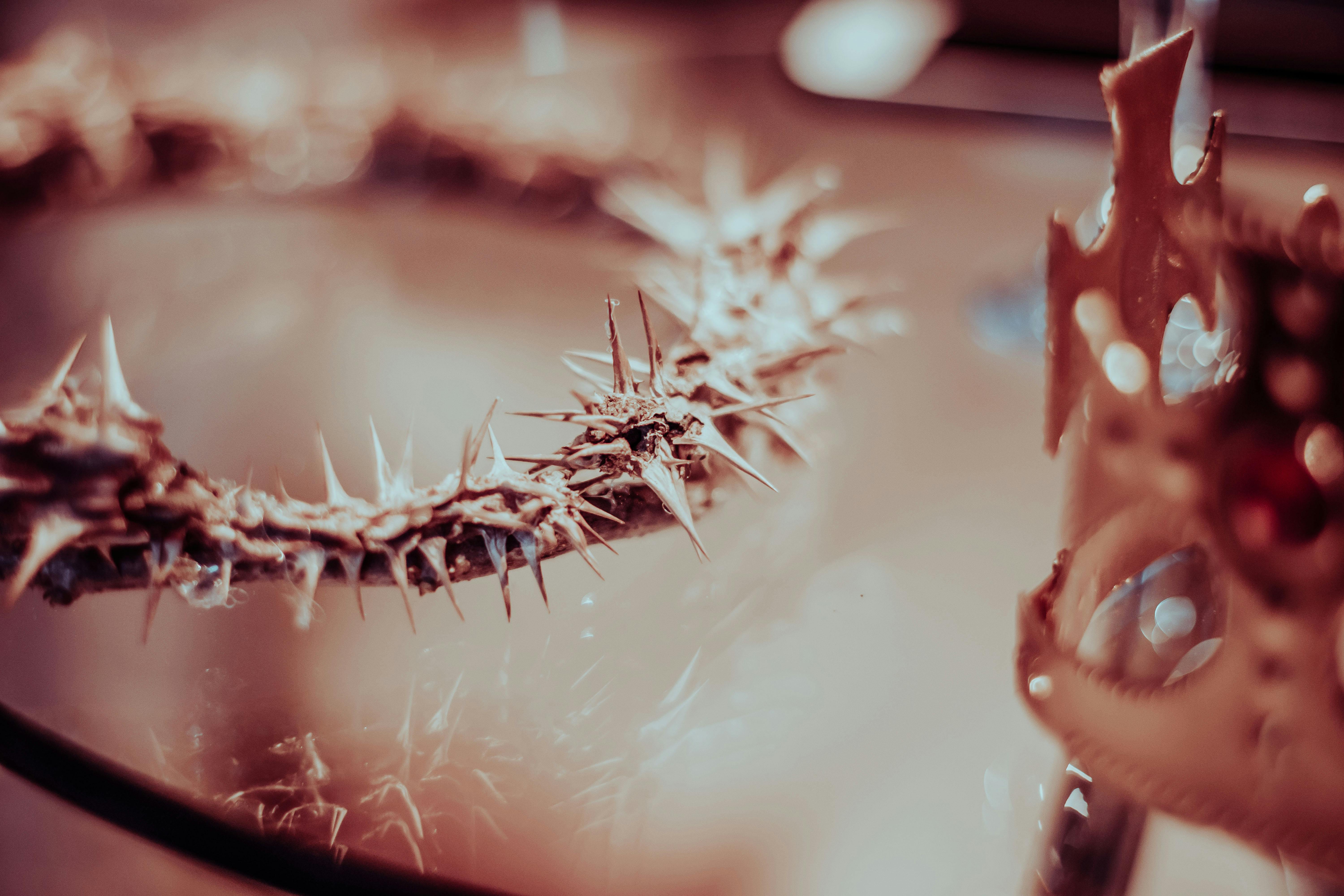 Free stock photo of bible, blood, Christ