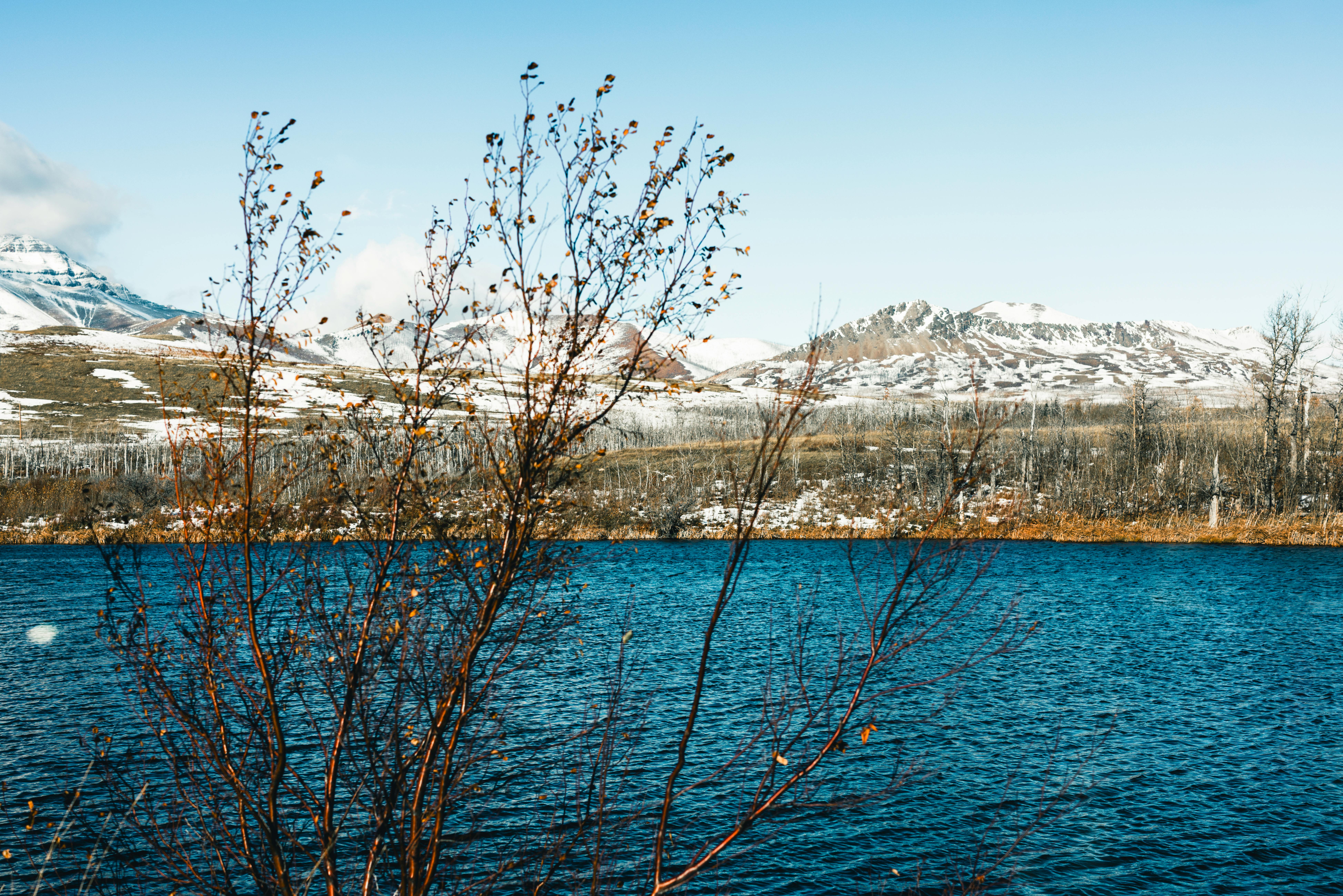 Mountains in Snow Seen from Blue River · Free Stock Photo