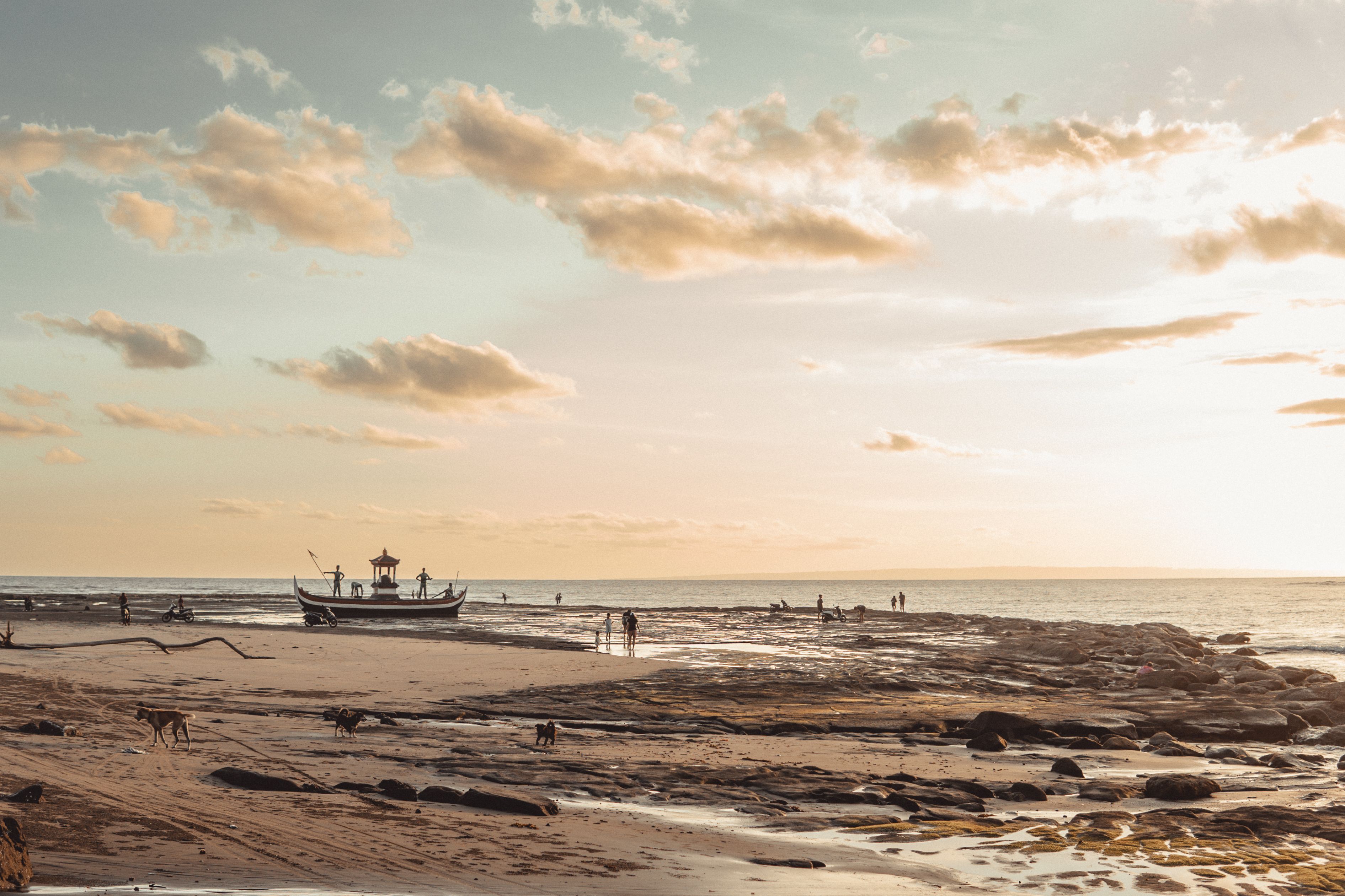 Beach at Dawn · Free Stock Photo
