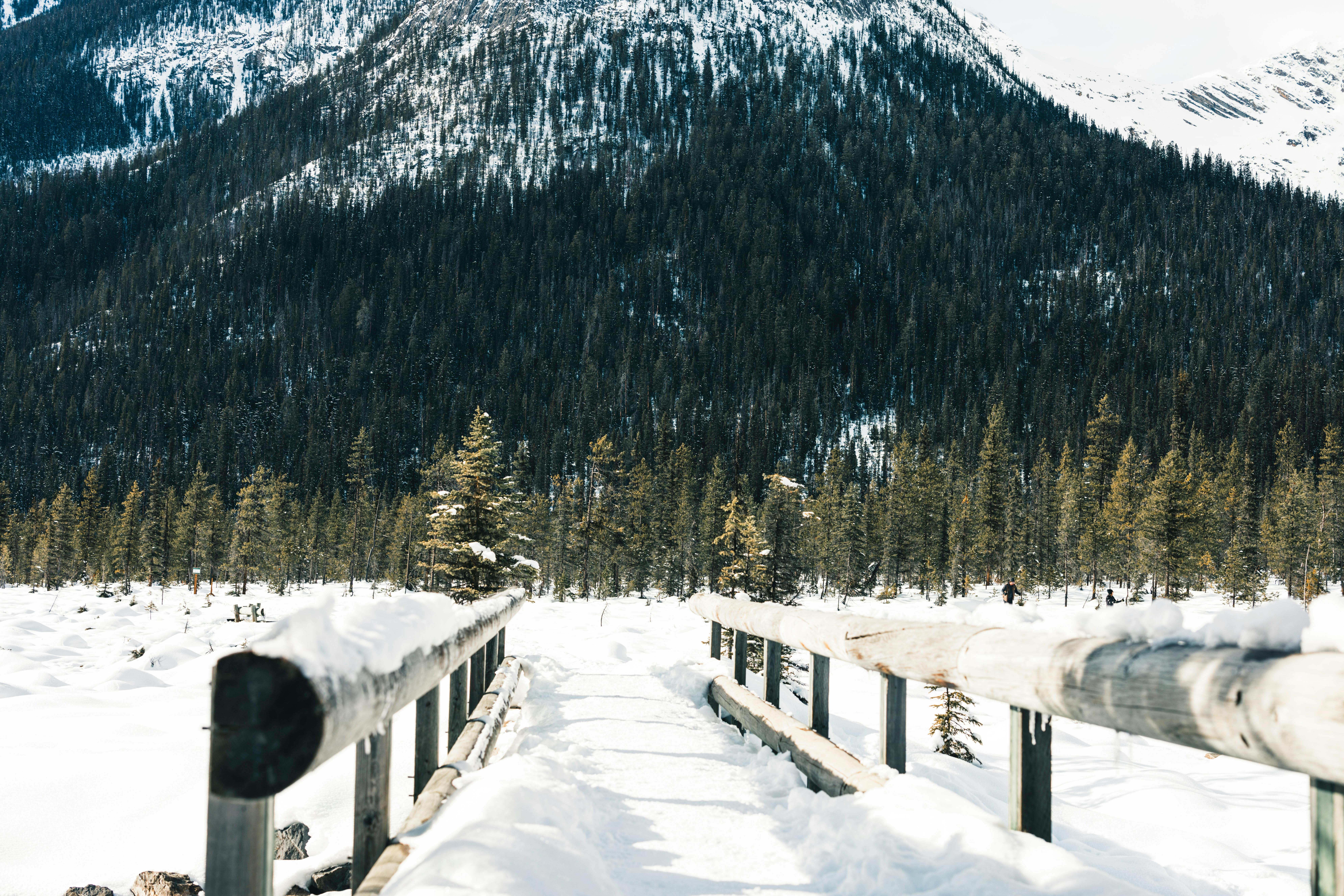 Parks Powder Photos, Download The BEST Free Parks Powder Stock Photos ...