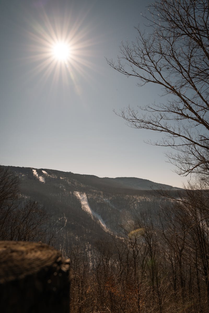 Sun' Photos, Download The BEST Free Sun' Stock Photos & HD Images