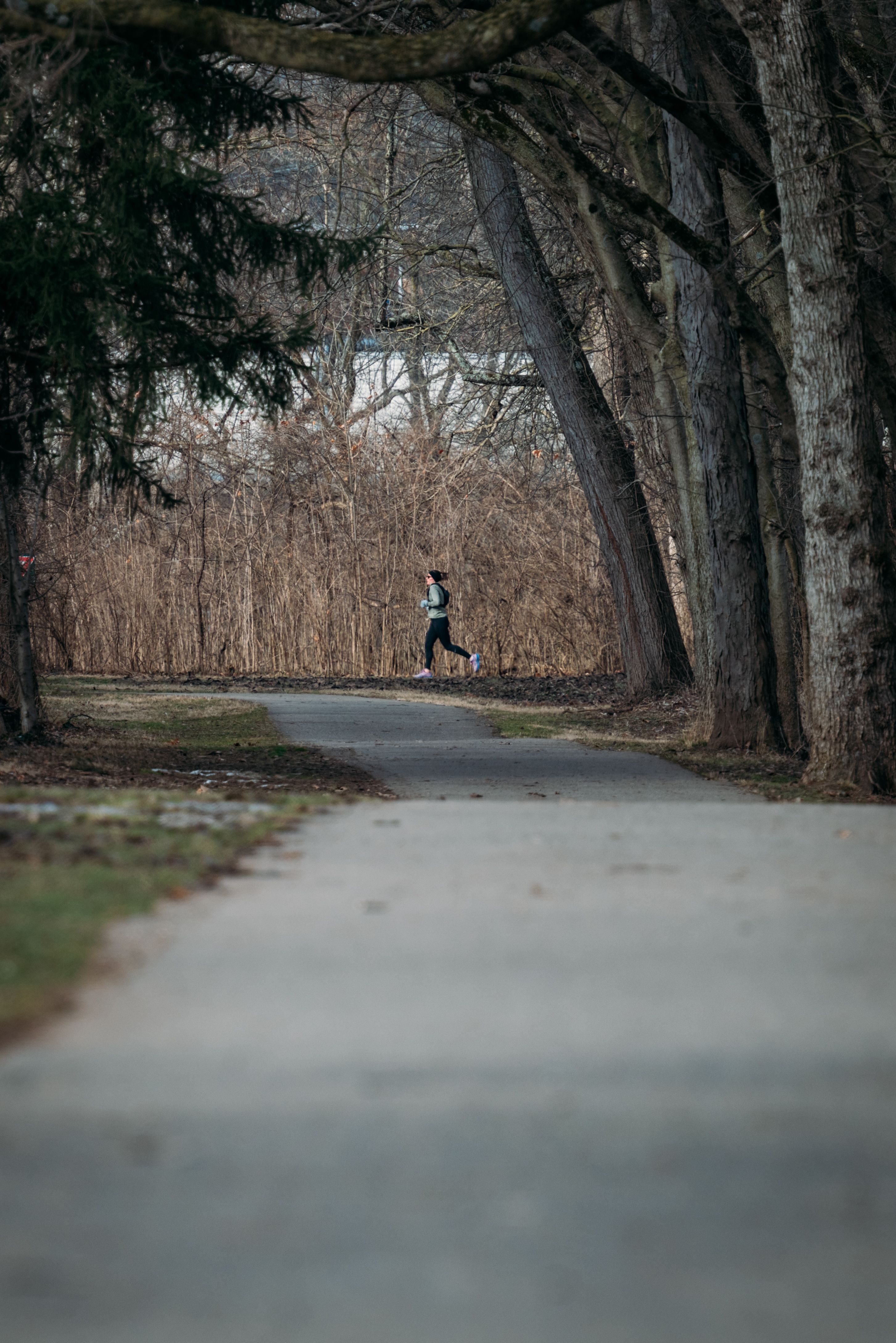 A Person Running in a Park · Free Stock Photo