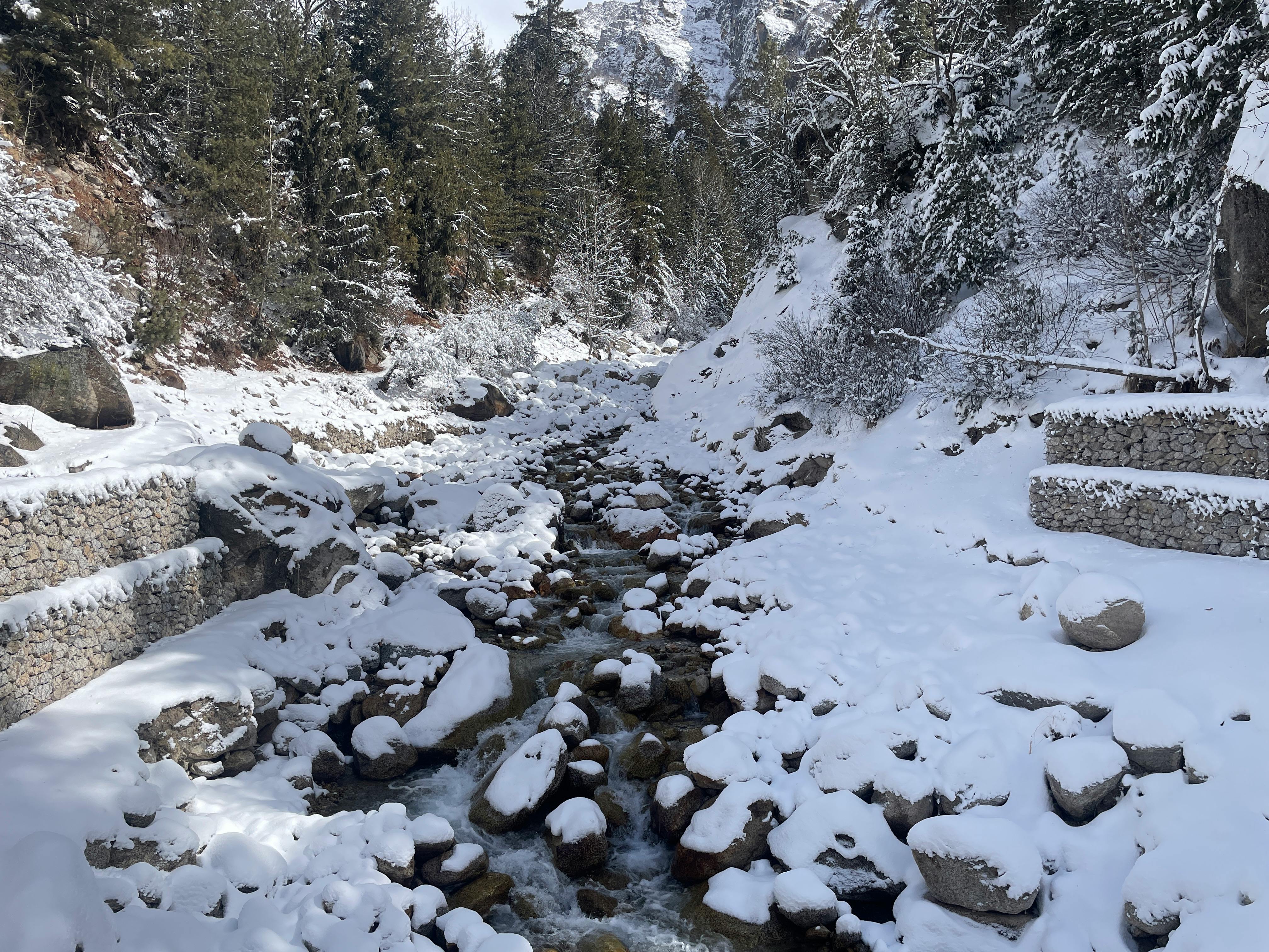 Stream in a Forest Covered with Snow · Free Stock Photo