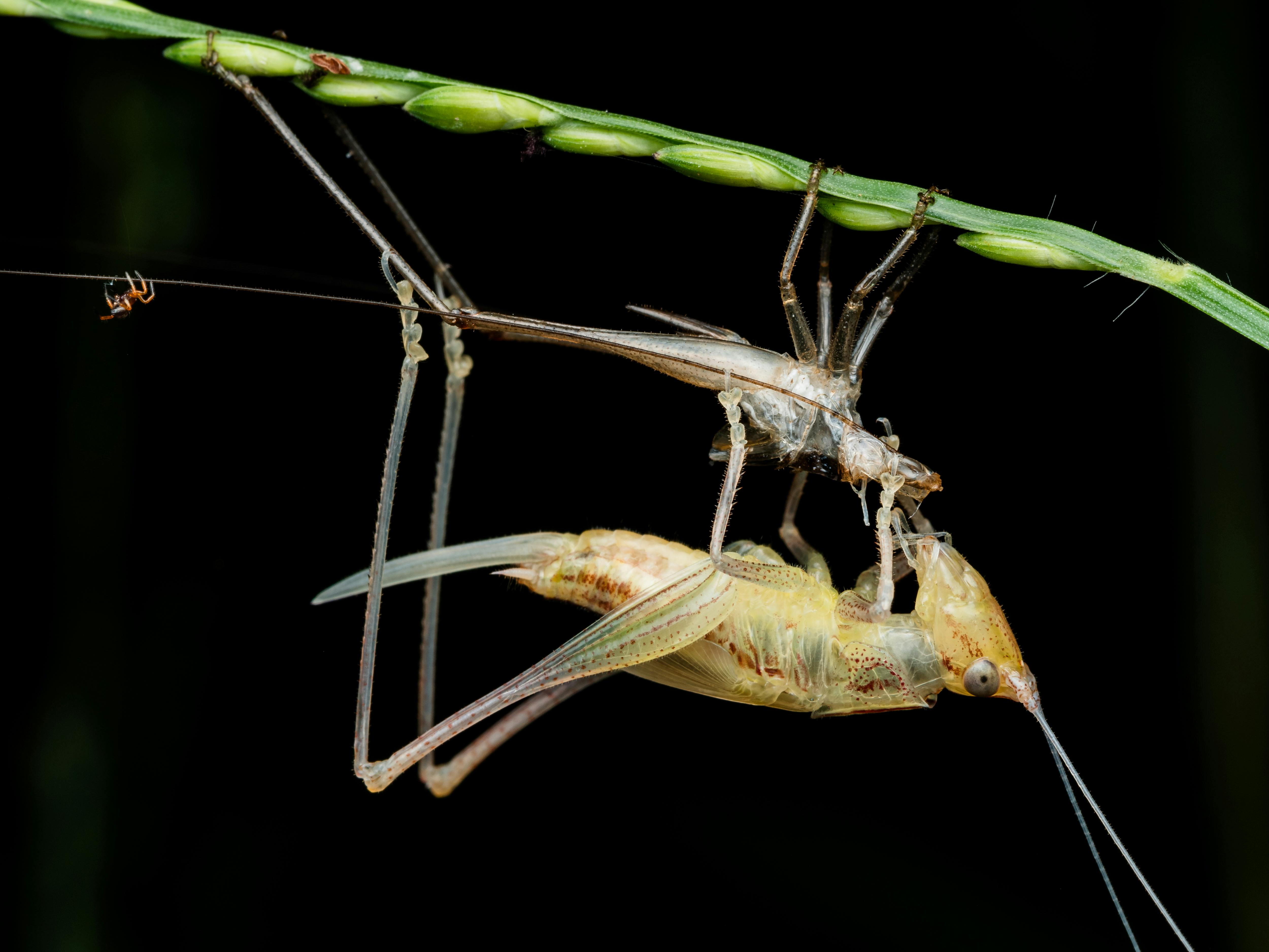 ABCDee David - Photography